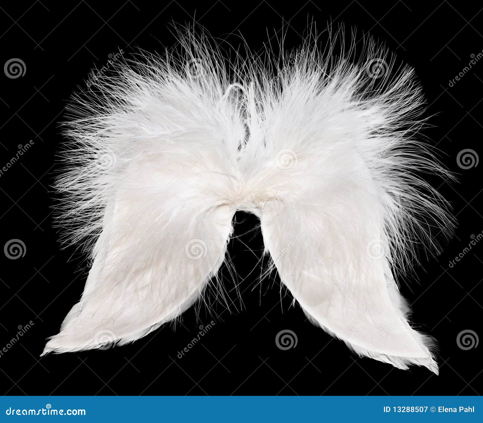 White angel wings stock illustration. Illustration of wing - 13288507