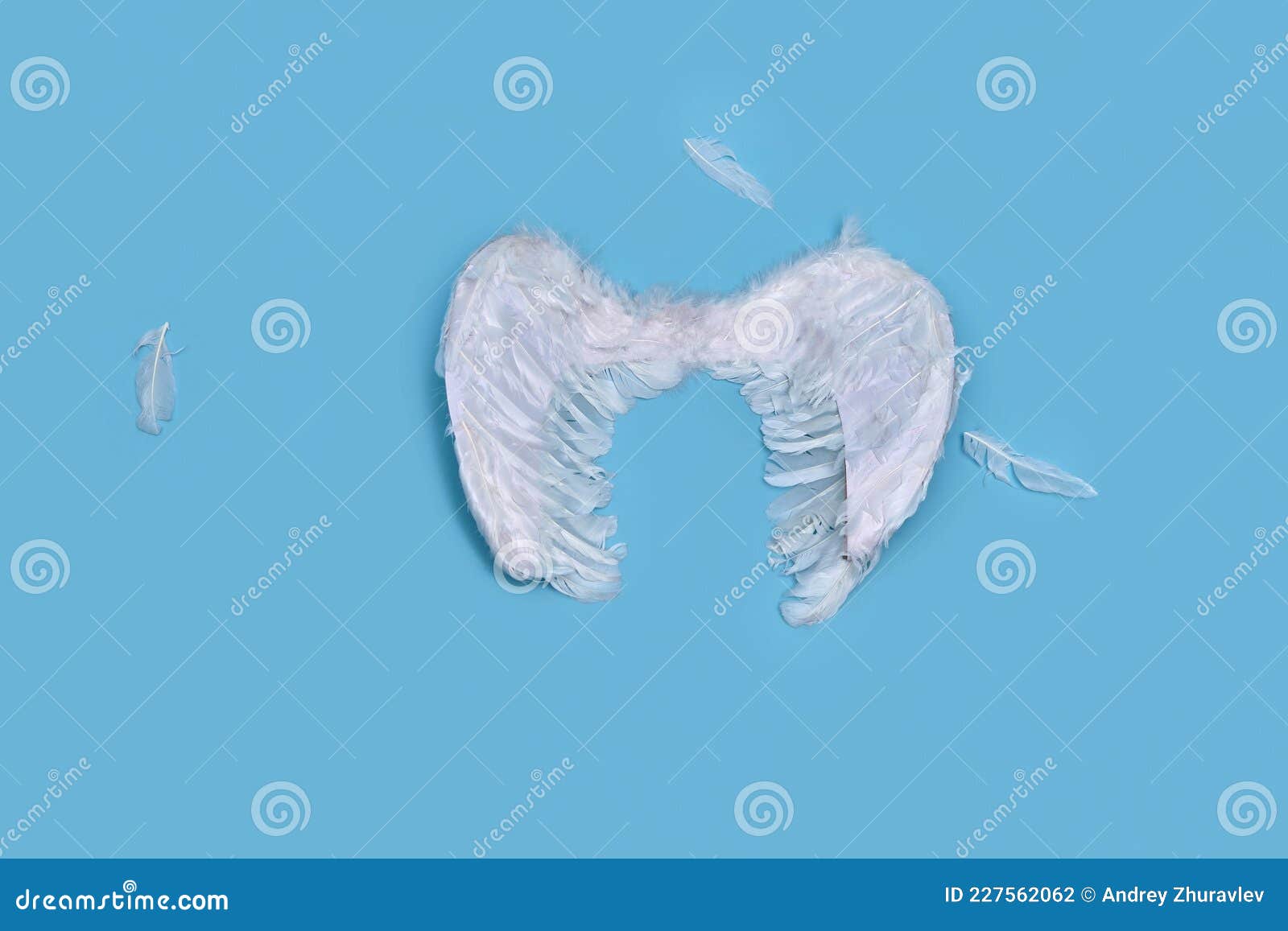 White Angel Wings on a Blue Studio Background, Copy Space Stock Photo ...