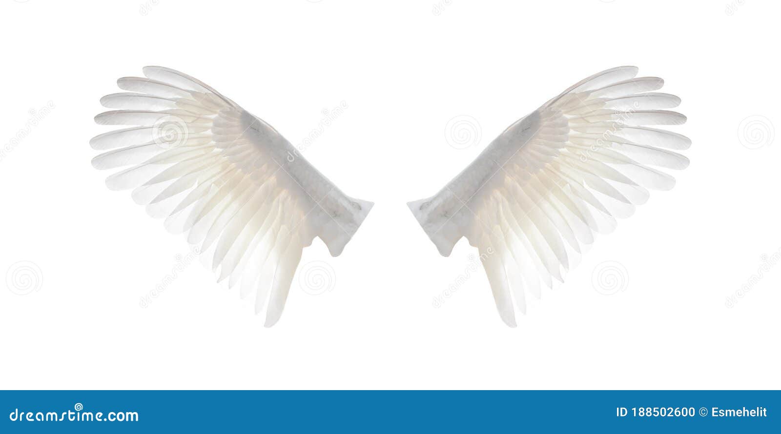 White Angel Wings Isolated on White Background Stock Photo - Image of ...