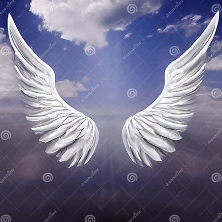 White Angel Wings stock illustration. Illustration of mythical - 275566057