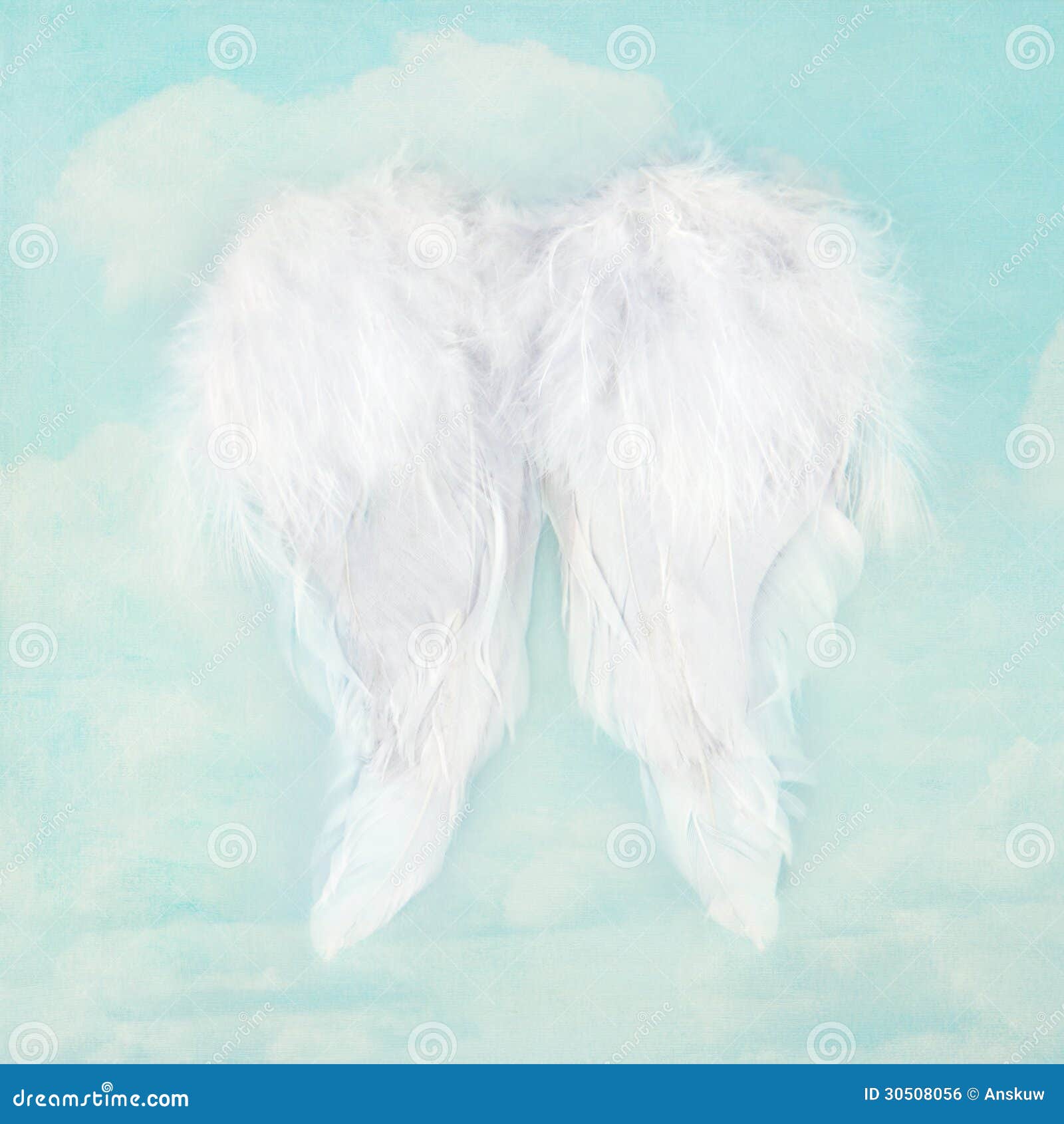 Angel Wings White Blue