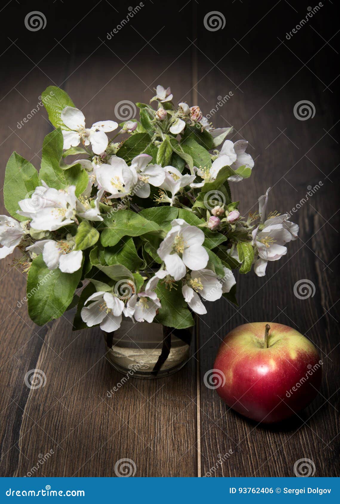 White Apple Flowers Bouquet and One Fresh Apple Stock Photo - Image of ...