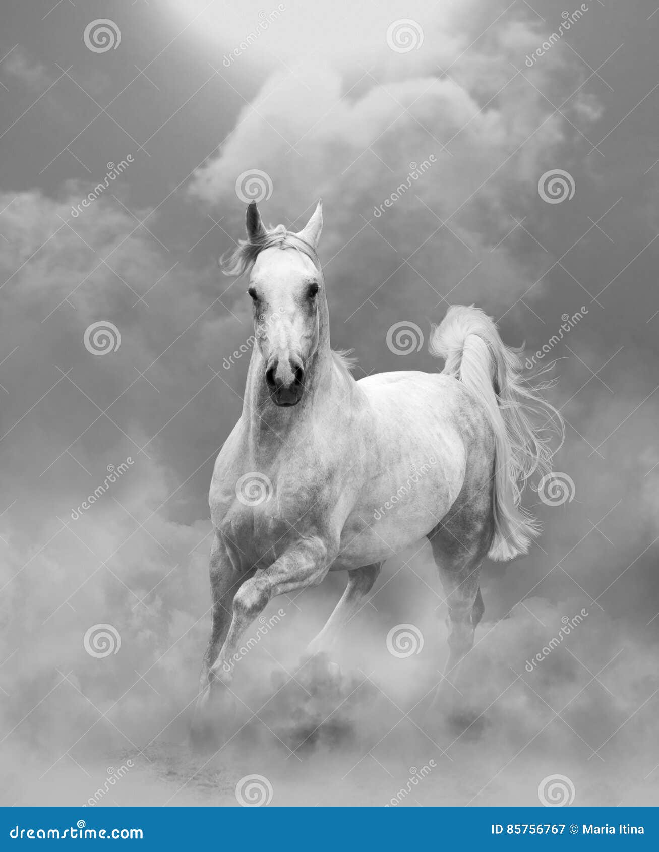 4,248 Dust Arabian Stock Photos - Free & Royalty-Free Stock Photos from ...