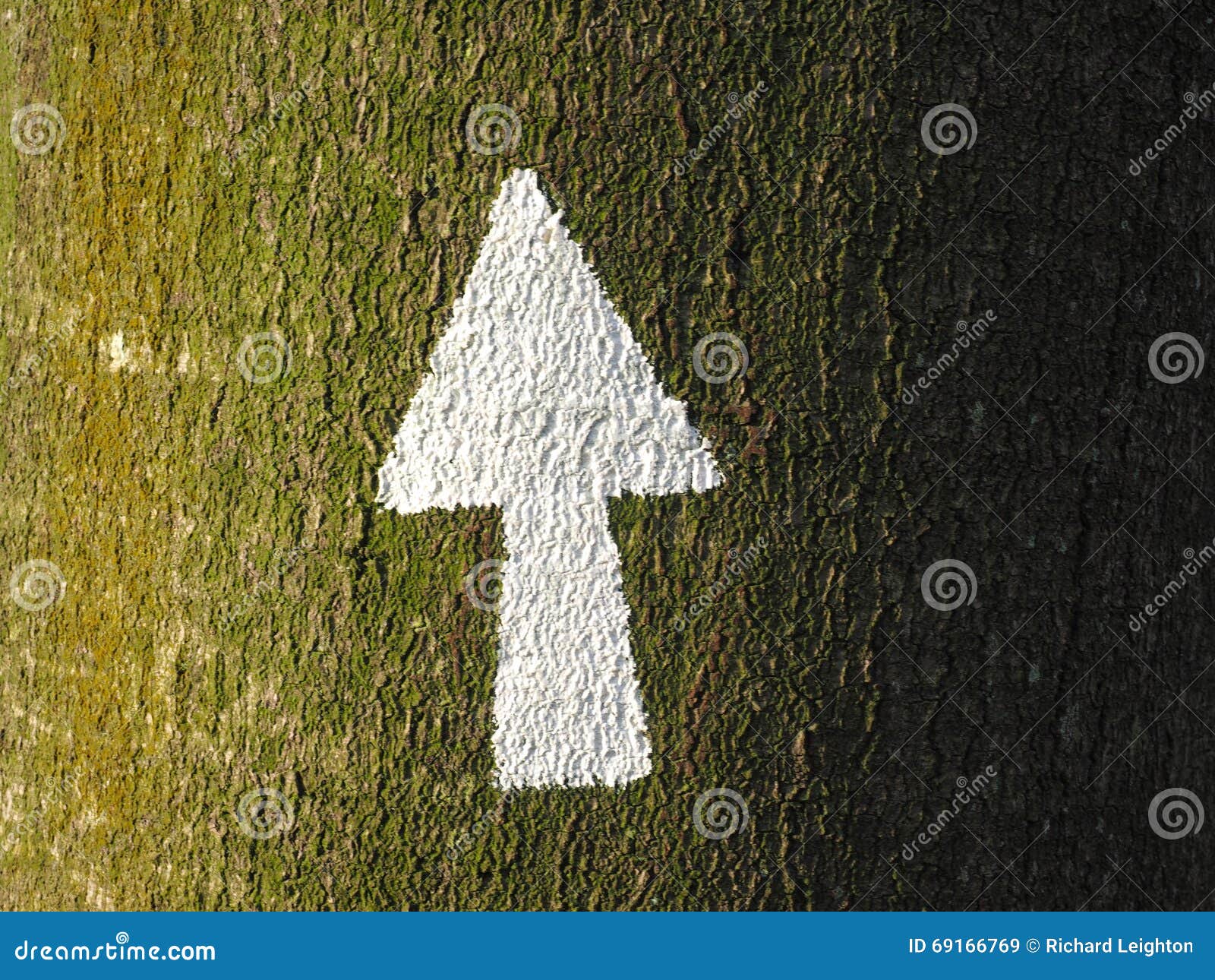 White Arrow Painted on a Tree Trunk2 Stock Image - Image of bark ...