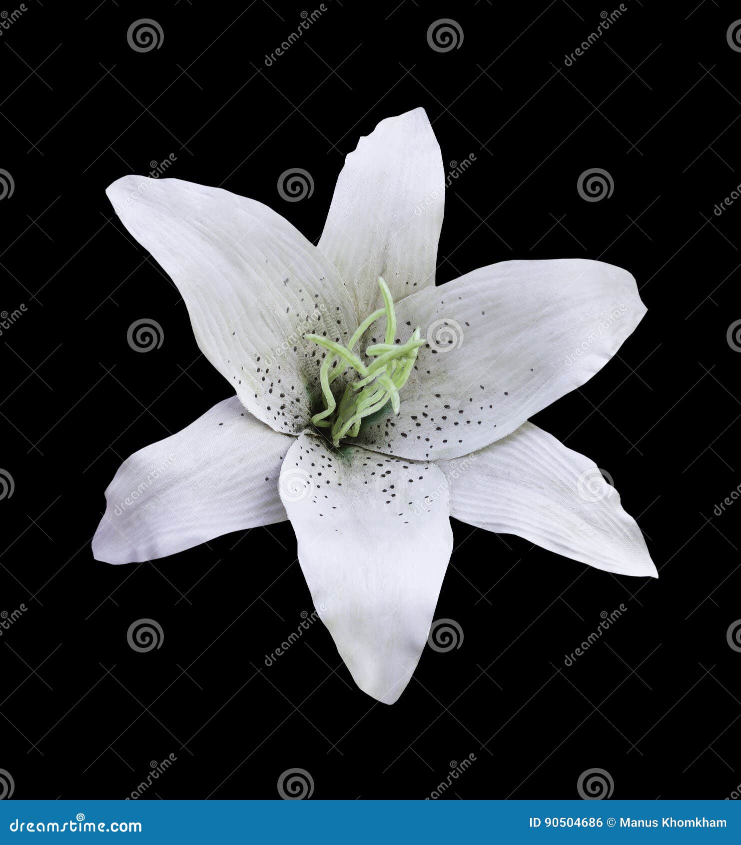 White Artificial Flower Isolated Stock Photo - Image of romantic, fresh ...