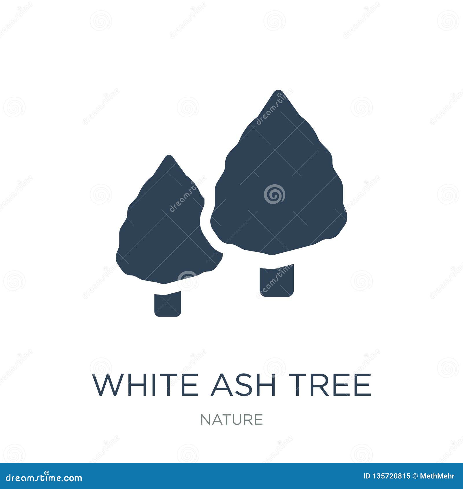 White Ash Tree Icon in Trendy Design Style. White Ash Tree Icon ...