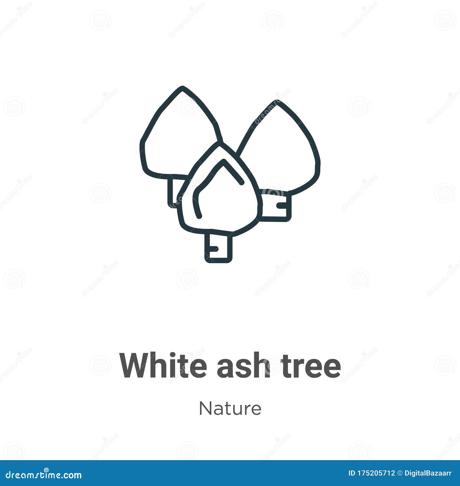 White Ash Tree Outline Vector Icon. Thin Line Black White Ash Tree Icon ...