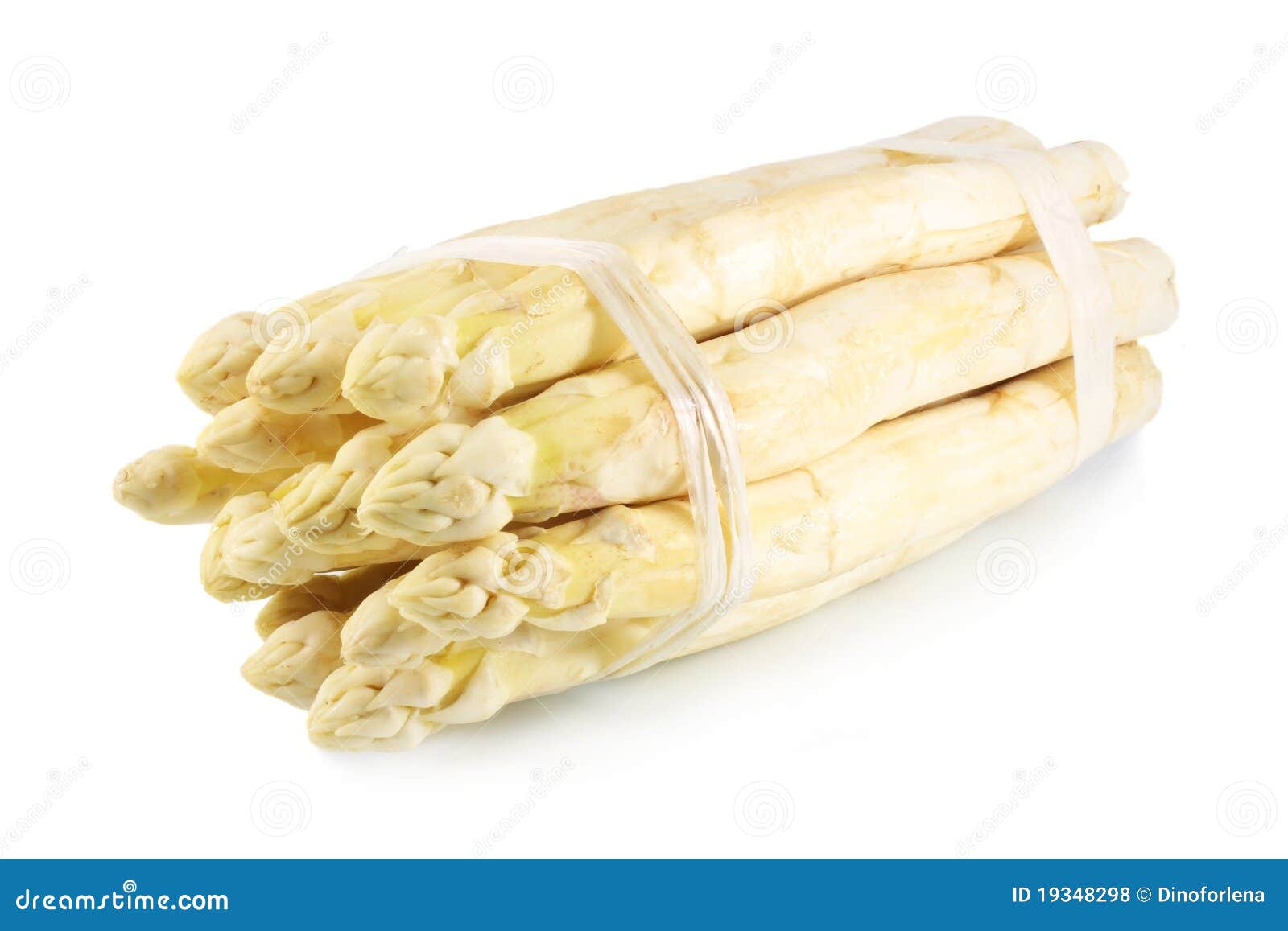 White asparagus stock photo. Image of asparagus, beam - 19348298