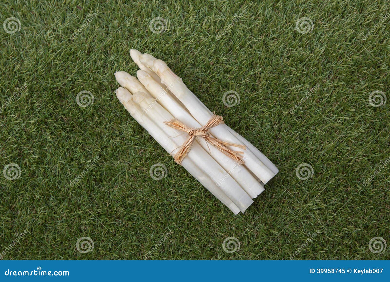 White asparagus stock image. Image of group, vitamin - 39958745