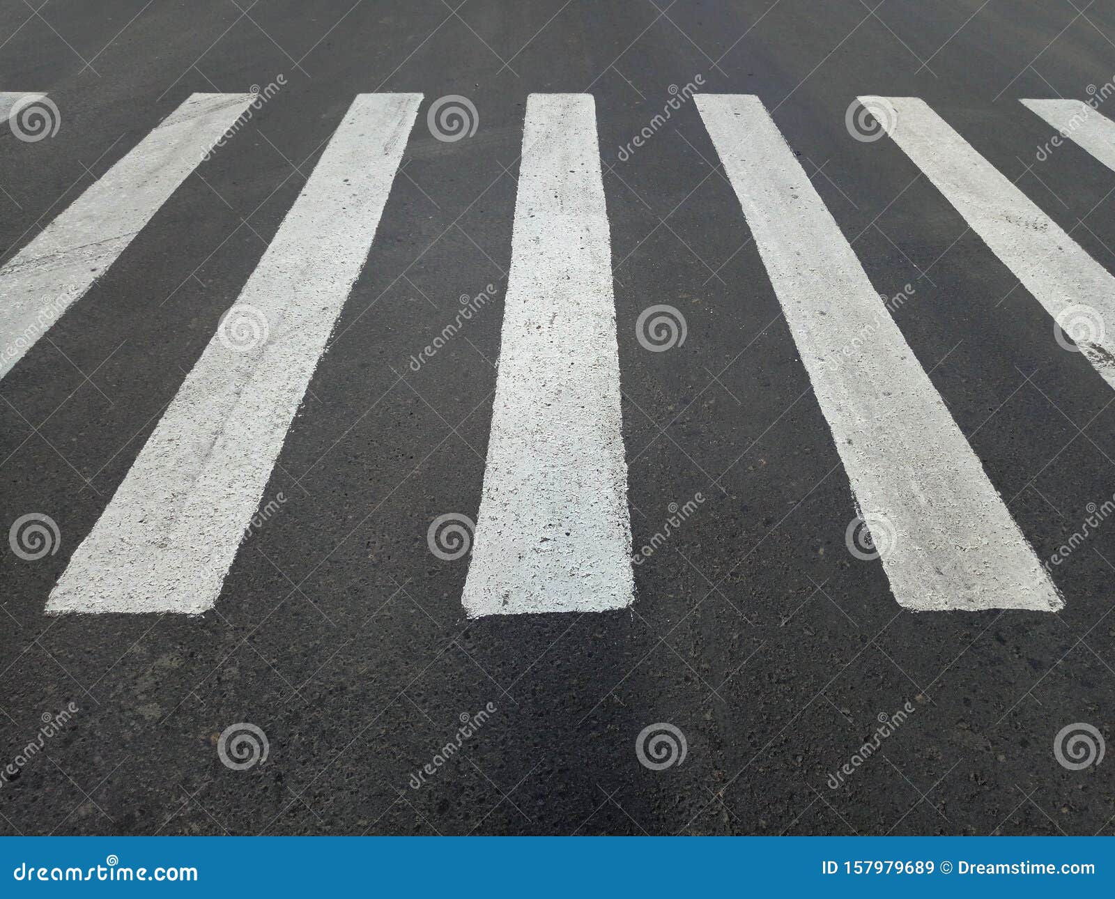White Asphalt Crosswalk Lines Stock Image - Image of empty, gray: 157979689