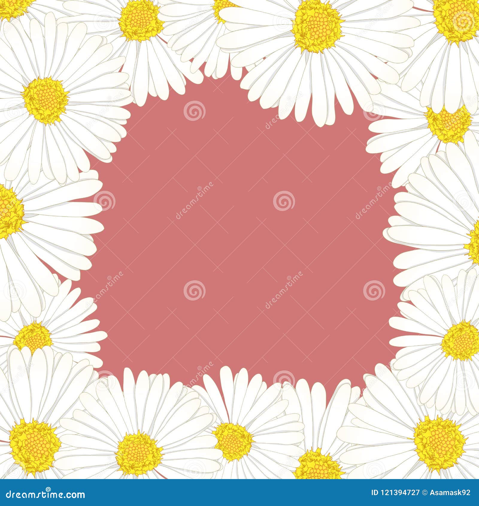 White Aster, Daisy Flower Border. Vector Illustration Stock Vector ...