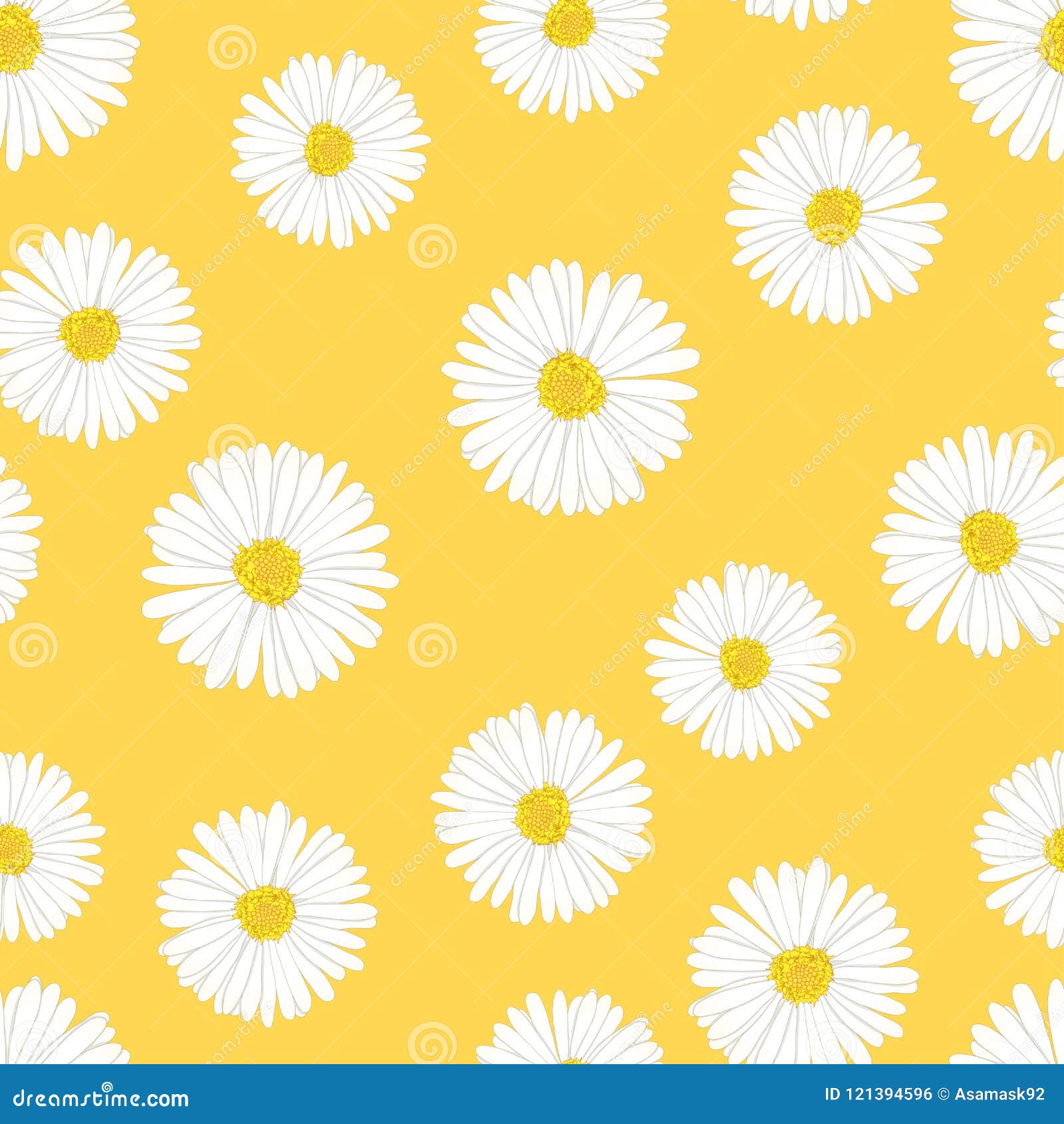 Aster, Daisy Flower Outline Banner Card Border. Vector Illustration ...