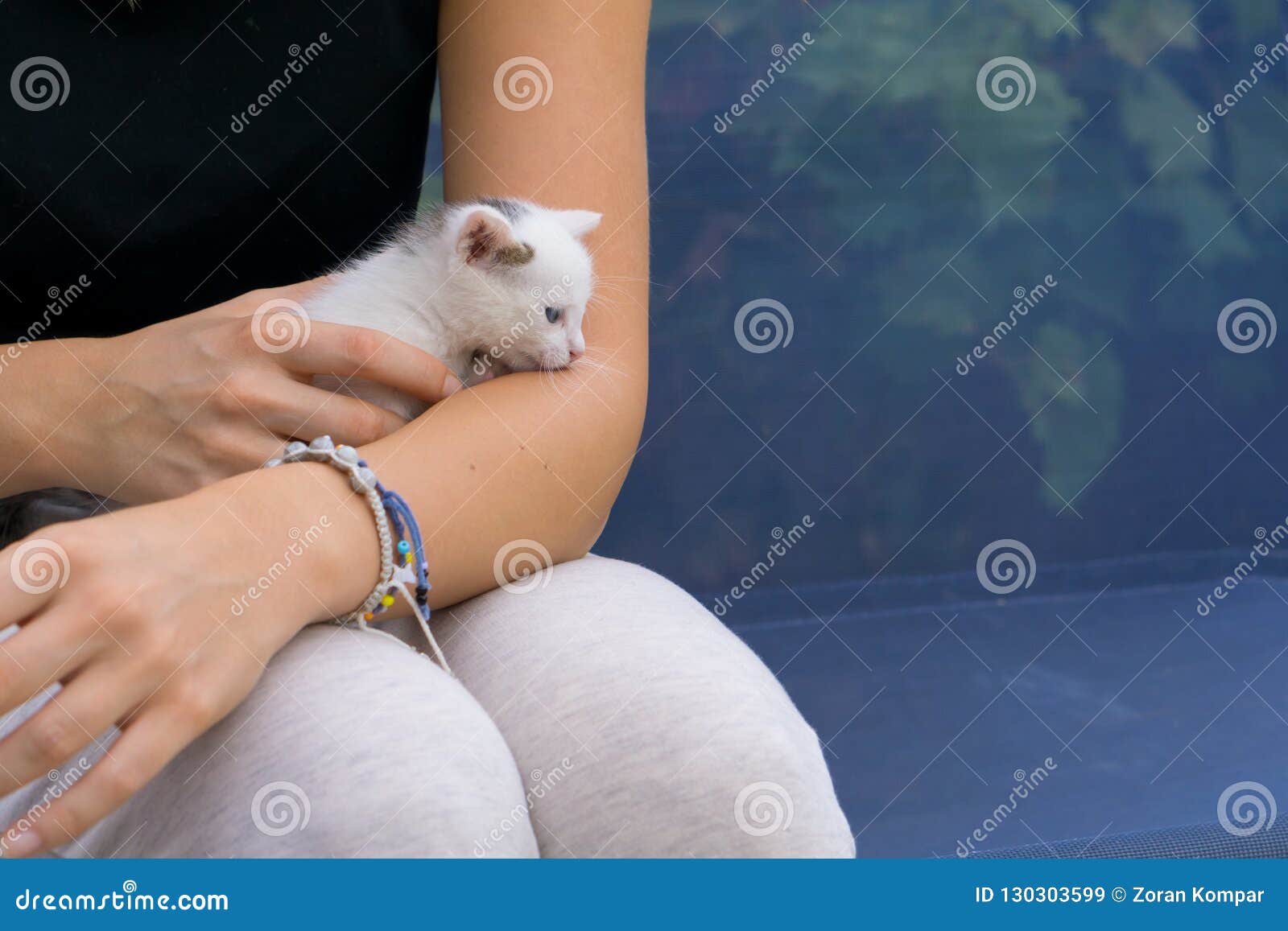 White Baby Cat Cuddle with Female Owner Stock Image - Image of kitten ...