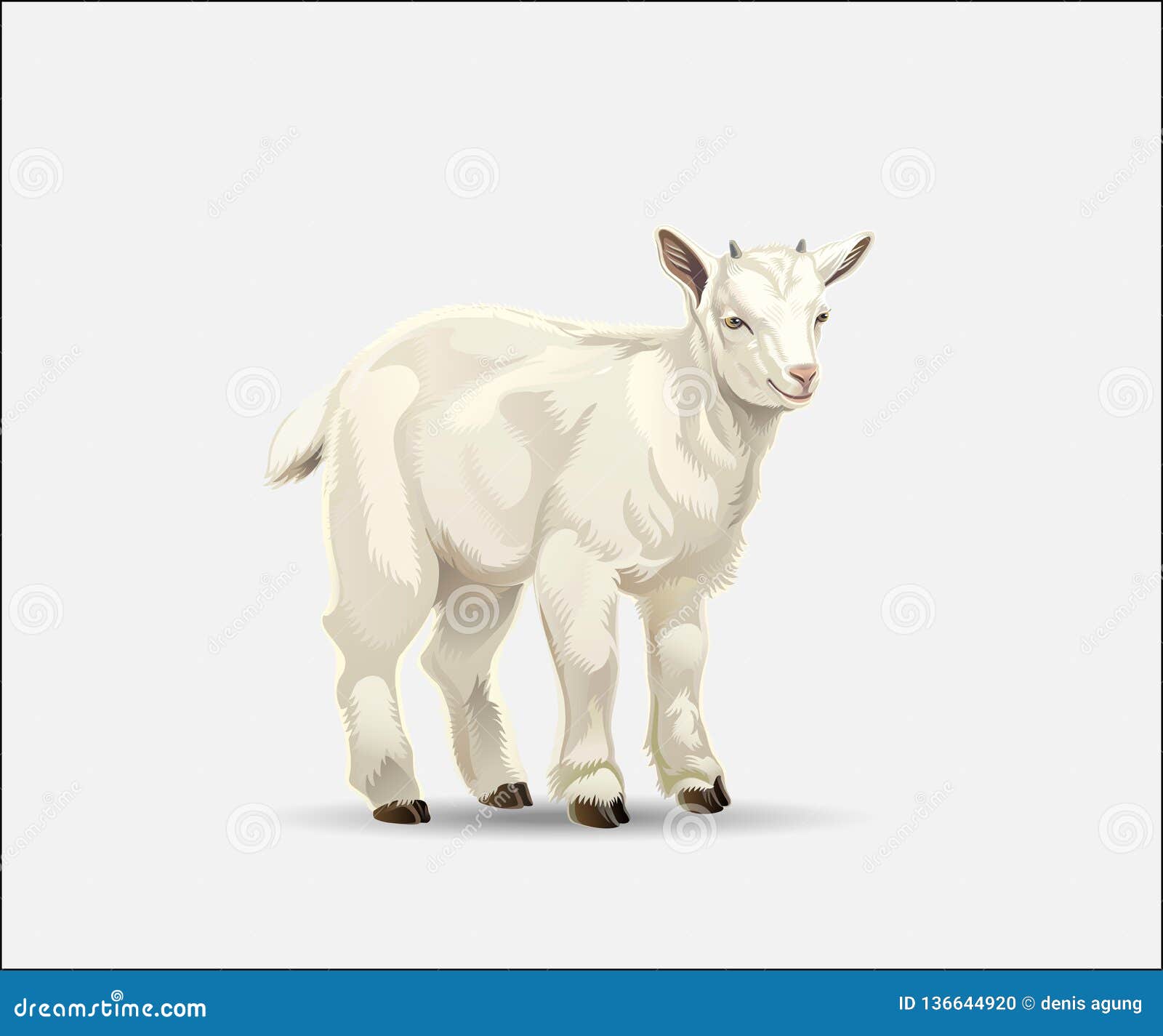 White Baby goat stock illustration. Illustration of baby - 136644920
