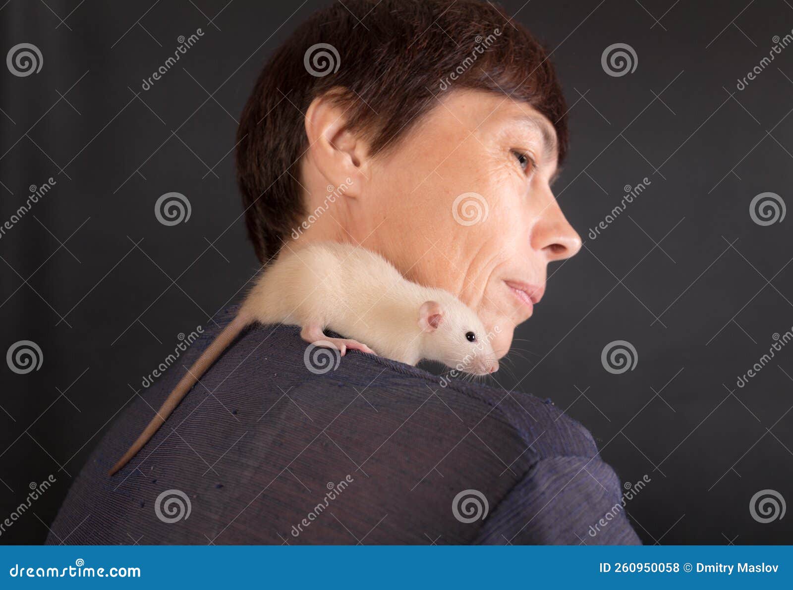 Baby Rat on the Shoulder of a Woman Stock Photo - Image of black ...