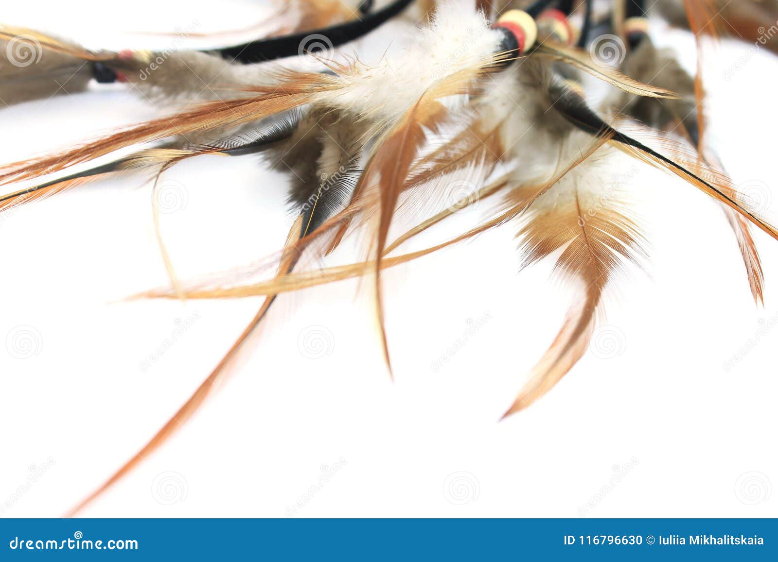 White Background with Beige Feathers Stock Photo - Image of brown ...