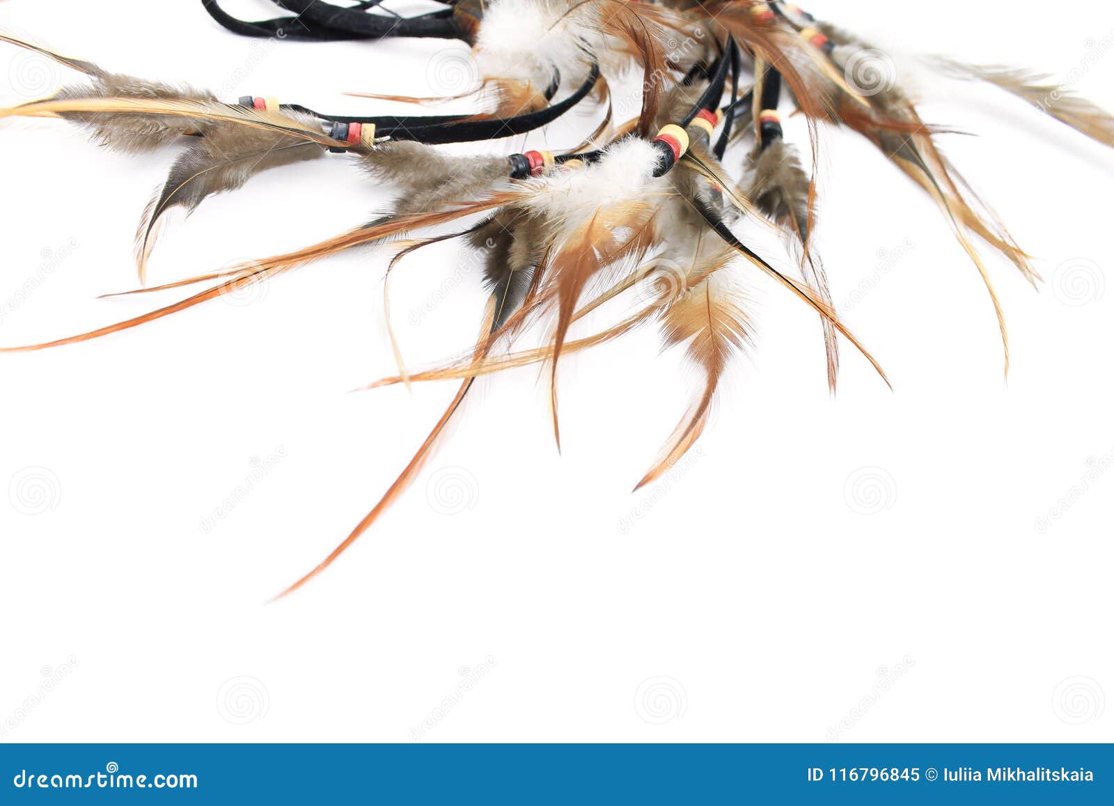 White Background with Beige Feathers Stock Image - Image of wild ...