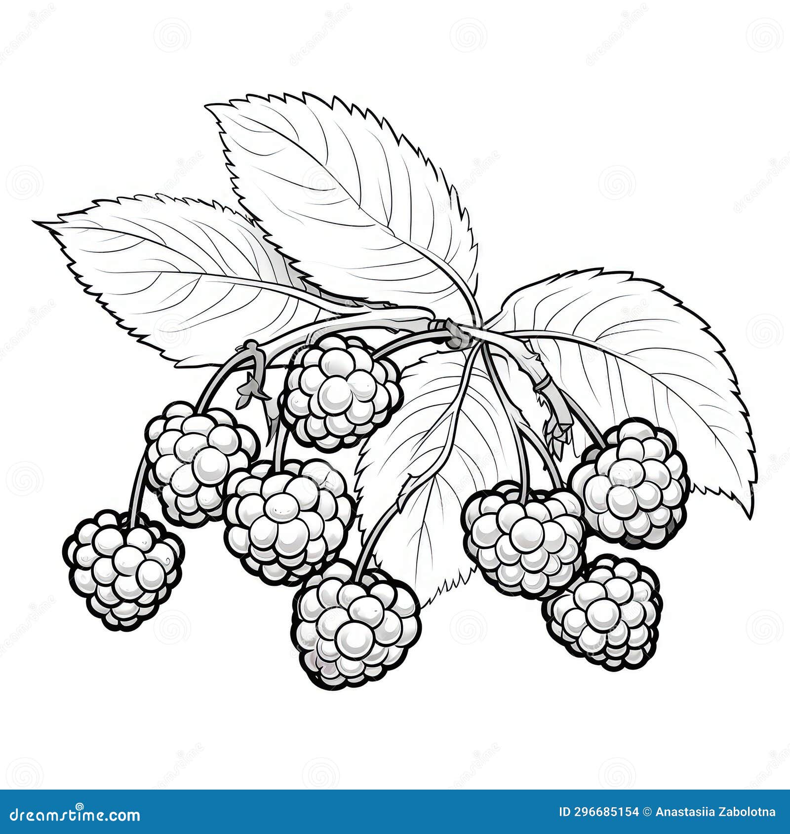 White Background With Black Outline Drawing Berries Cartoon, 2D, Black ...