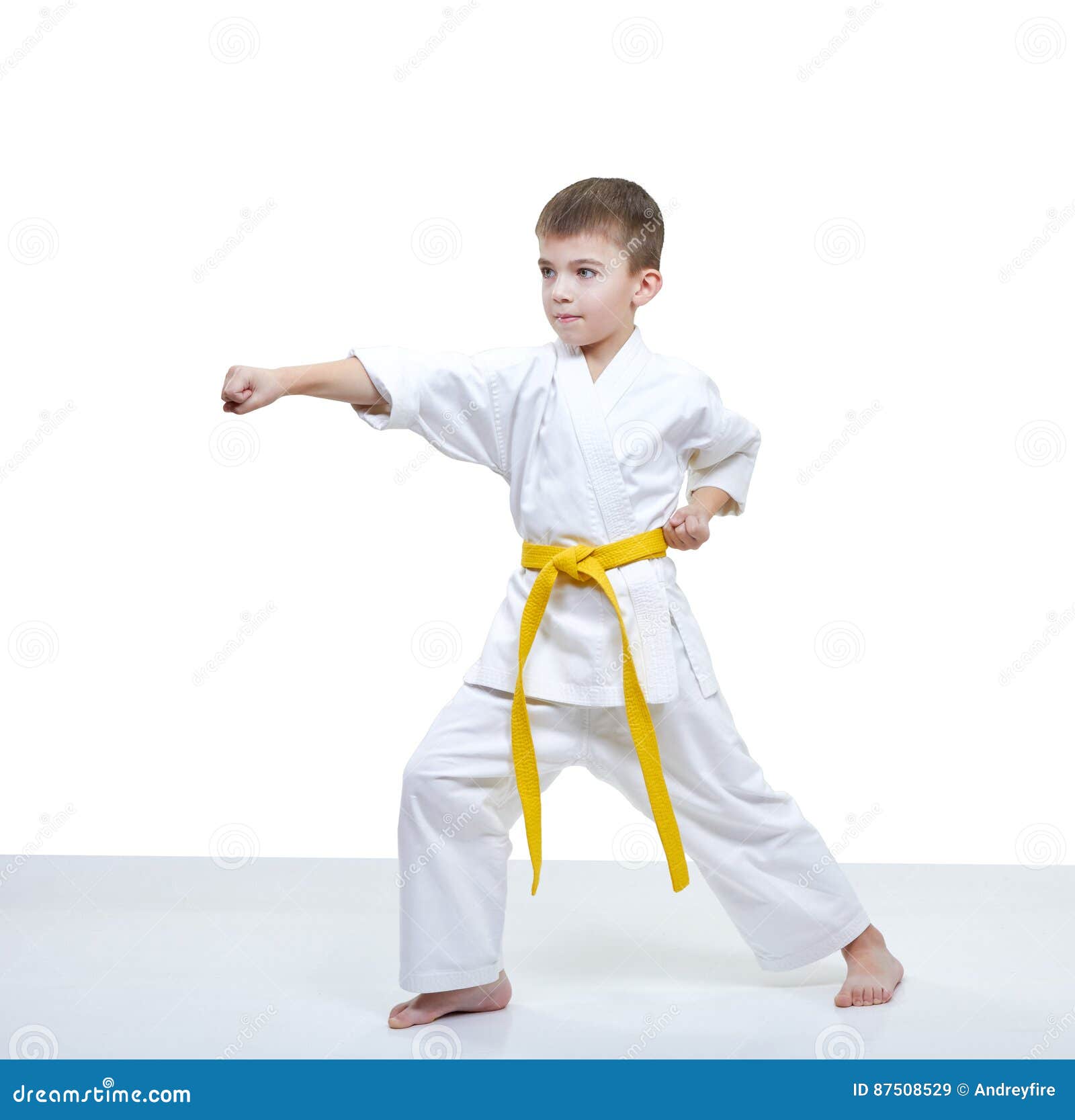 On a White Background Boy Beats Punch Arm Stock Image - Image of jitsu ...