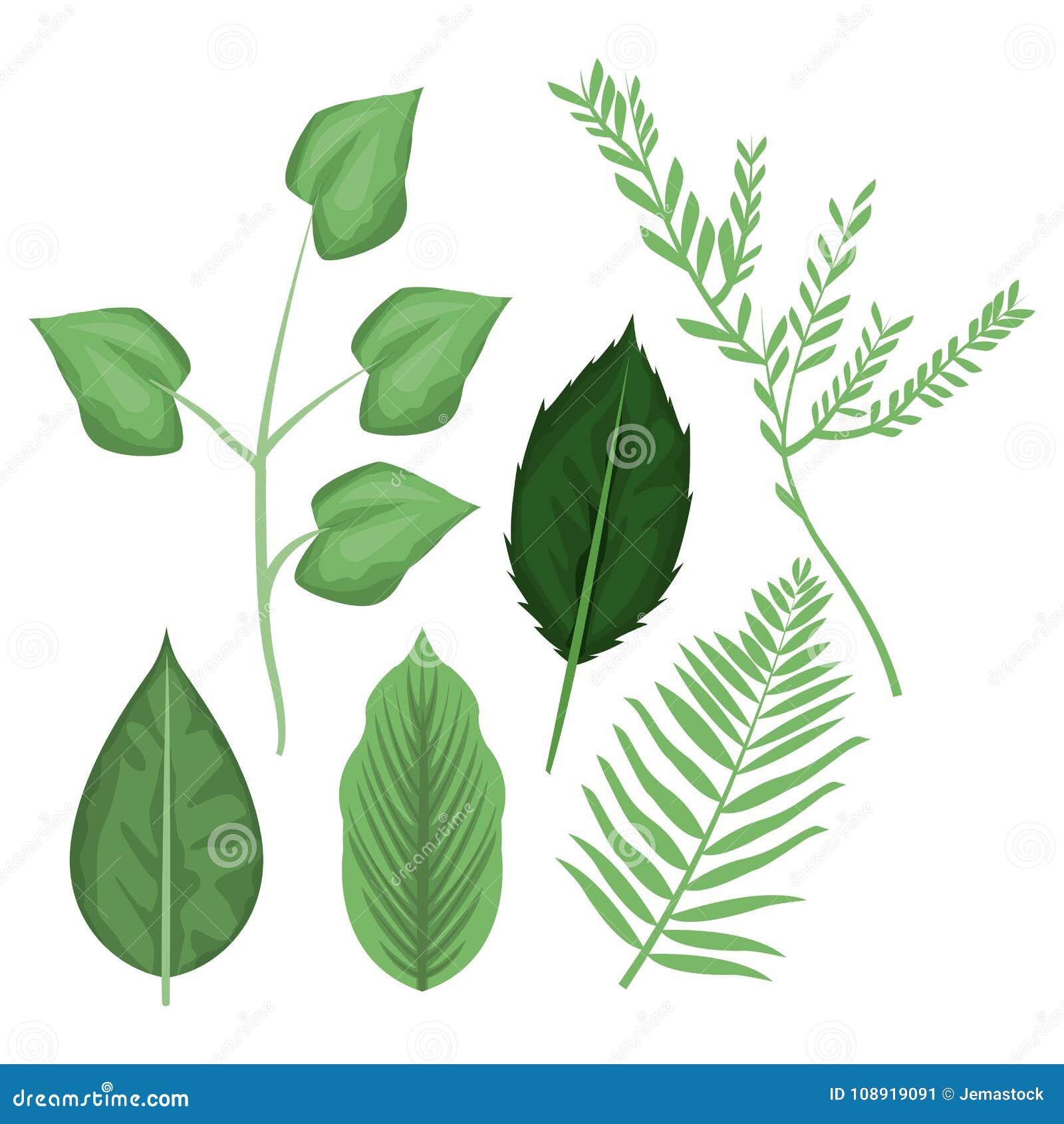 White Background with Different Types Leaves and Branches Stock Vector ...