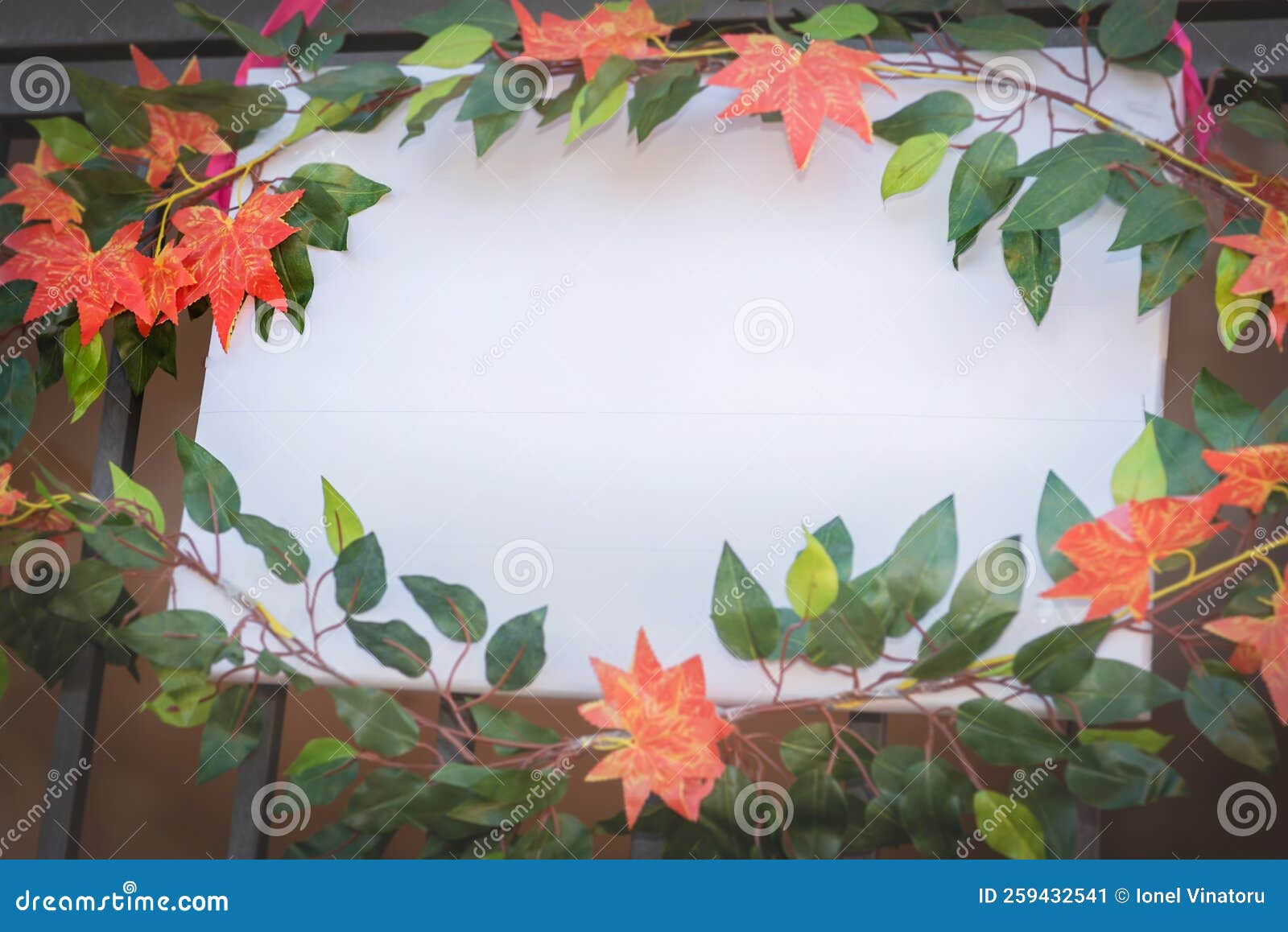 White Background Framed between Branches with Colorful Autumn Leaves ...