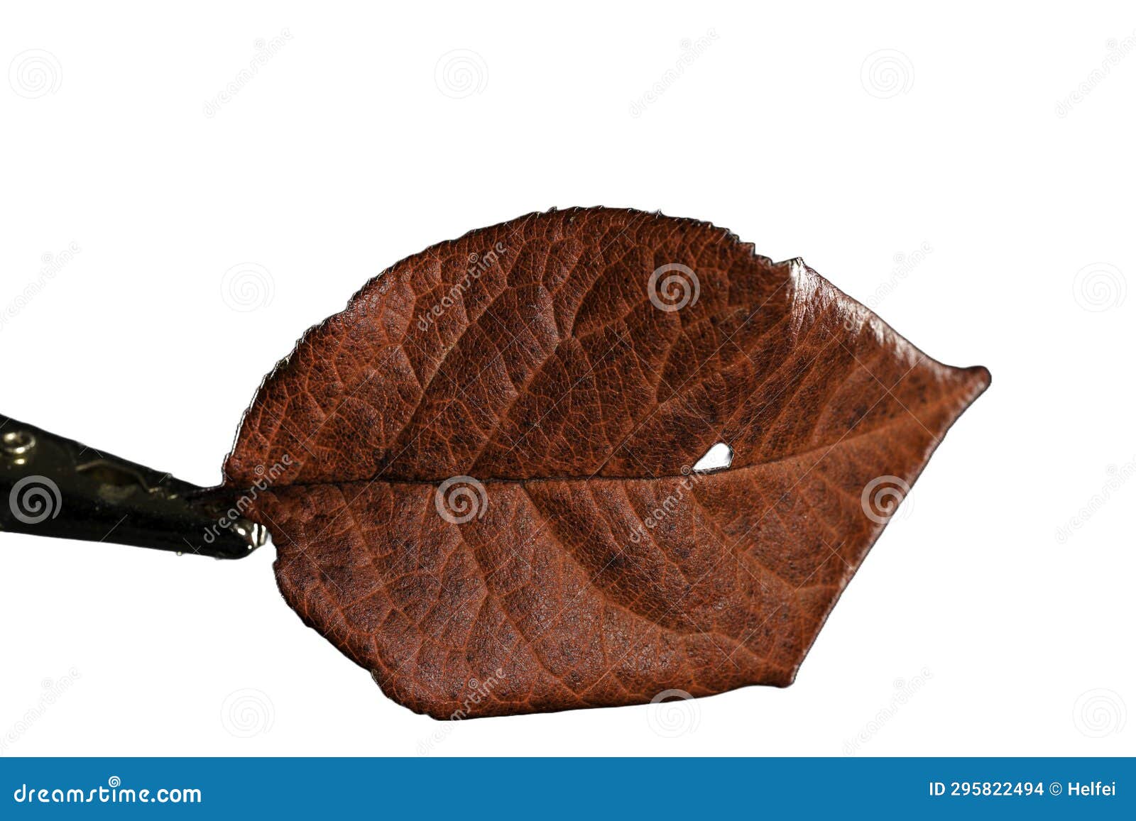 White Background with Free Things Stock Photo - Image of edit, custom ...