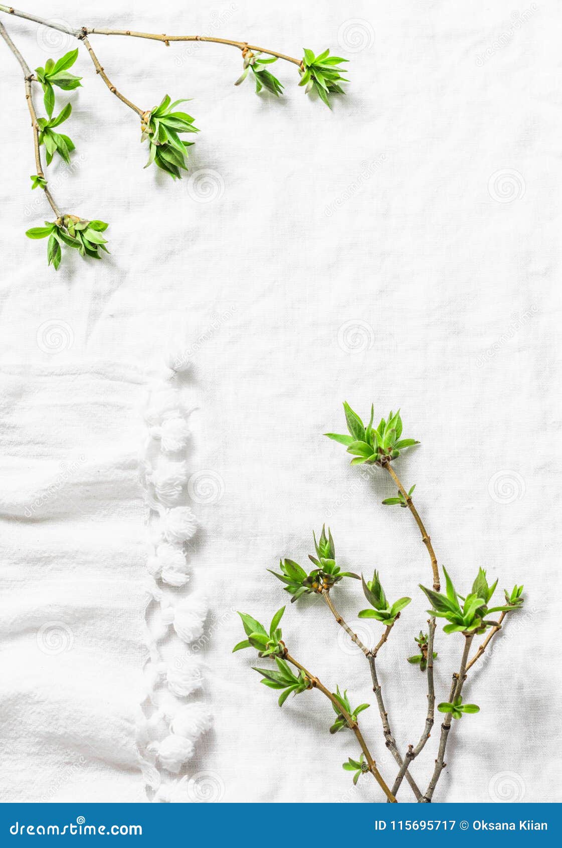 White Background with Fresh Green Leaves Branches with Copy Space ...