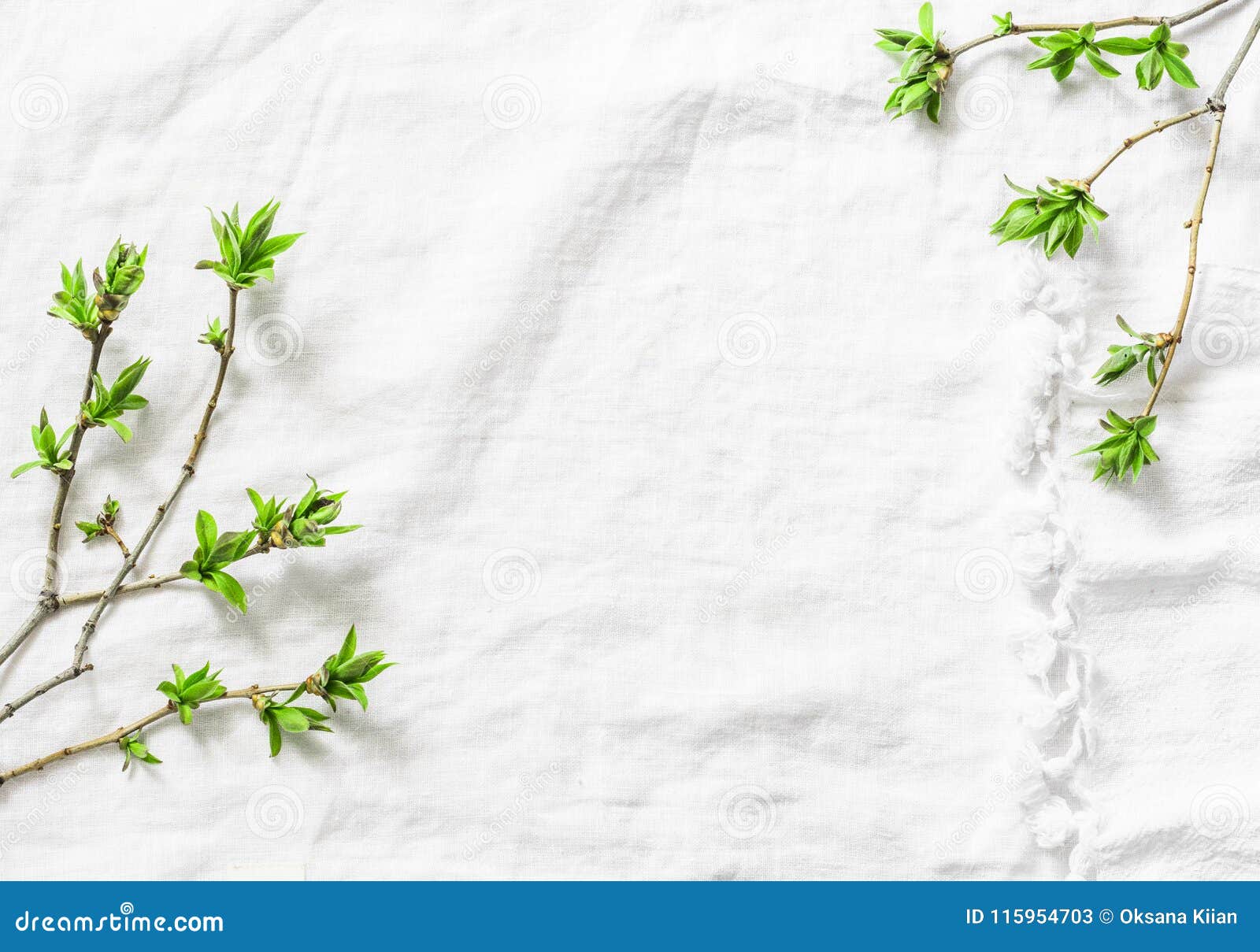 White Background with Fresh Green Leaves Branches with Copy Space ...