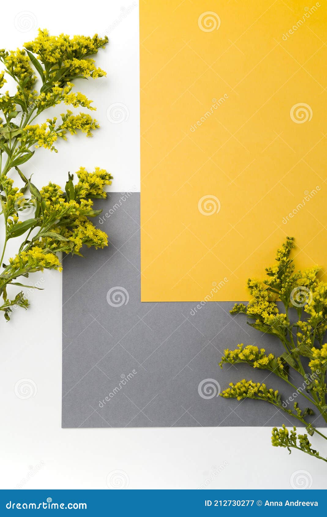 On a White Background Gray Rectangular Frame and Yellow Frame Overlay ...