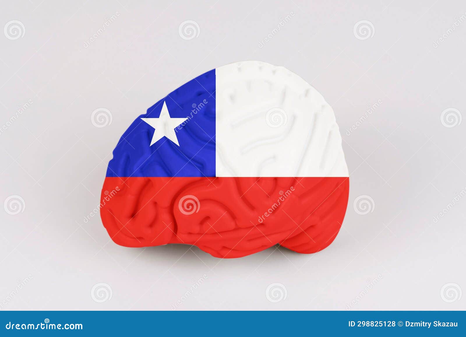 On a White Background, a Model of the Brain with a Picture of a Flag ...