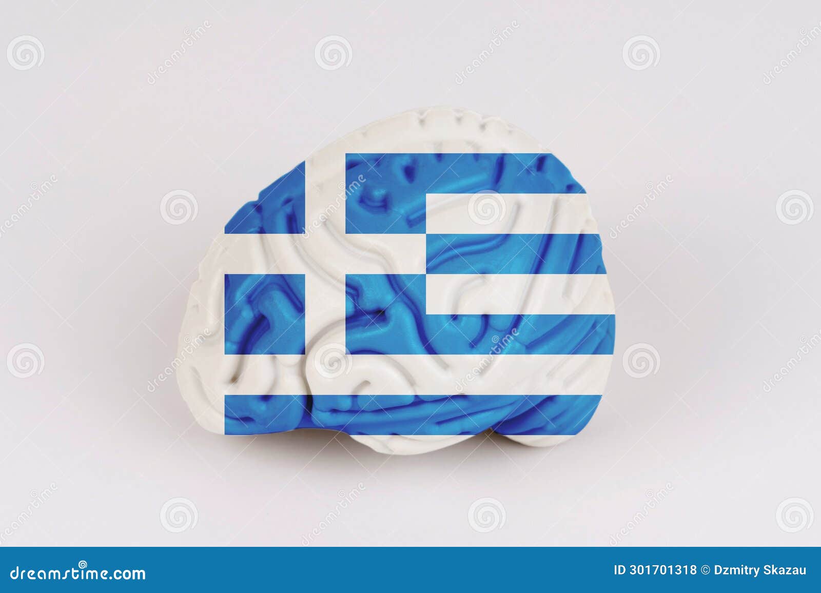 On a White Background, a Model of the Brain with a Picture of a Flag ...