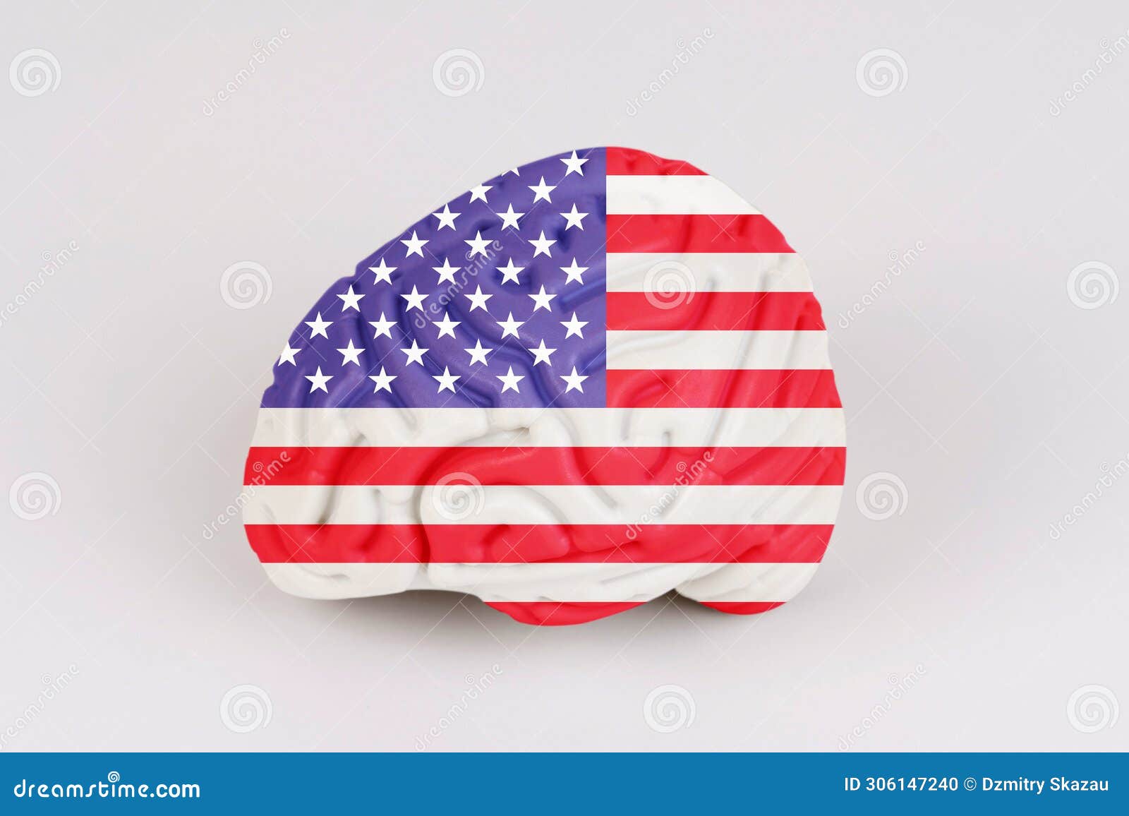 On a White Background, a Model of the Brain with a Picture of a Flag ...