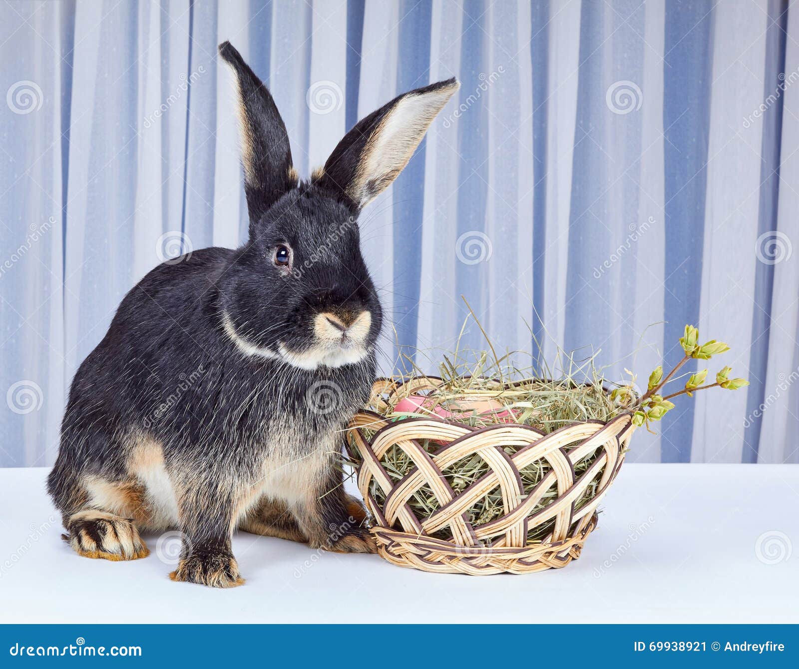 On a White Background Rabbit Sitting Near a Beautiful Basket with ...