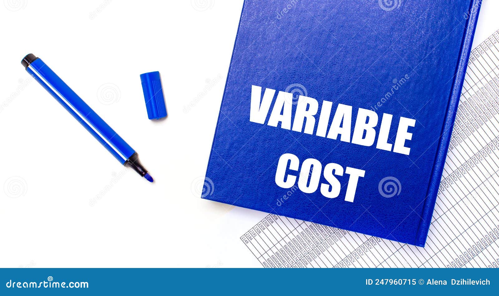 On a White Background Reports, a Blue Pen and a Blue Notebook with the ...