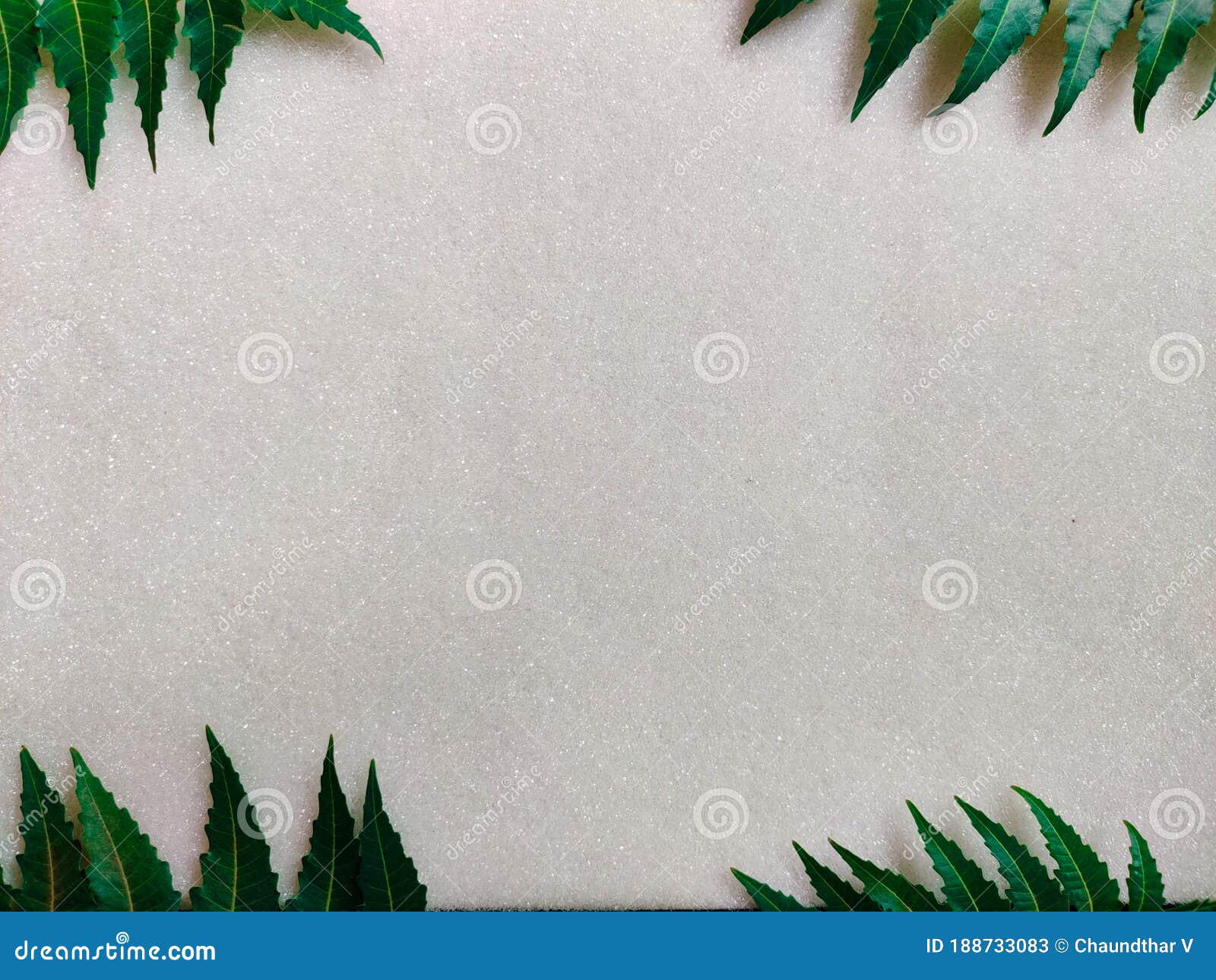 White Background Surrounded by Green Neem Leaves Stock Image - Image of ...