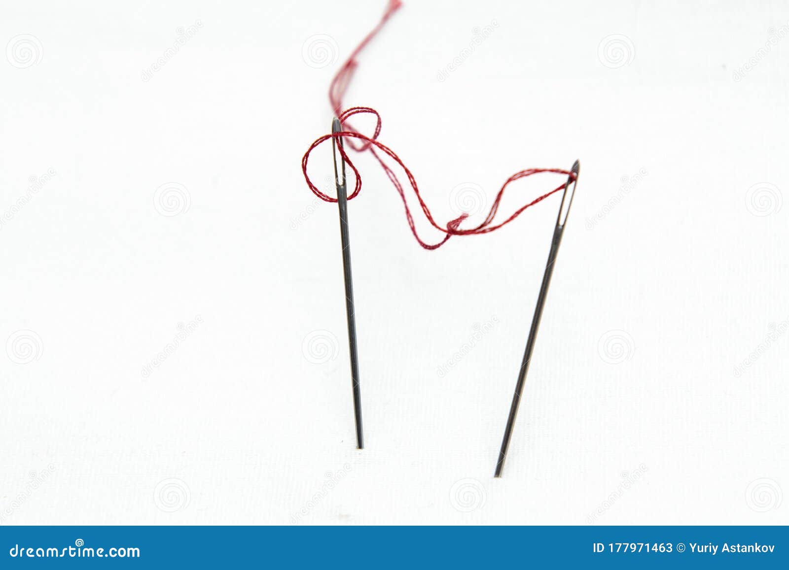 On a White Background Two Sewing Needles Connected by a Red Thread ...