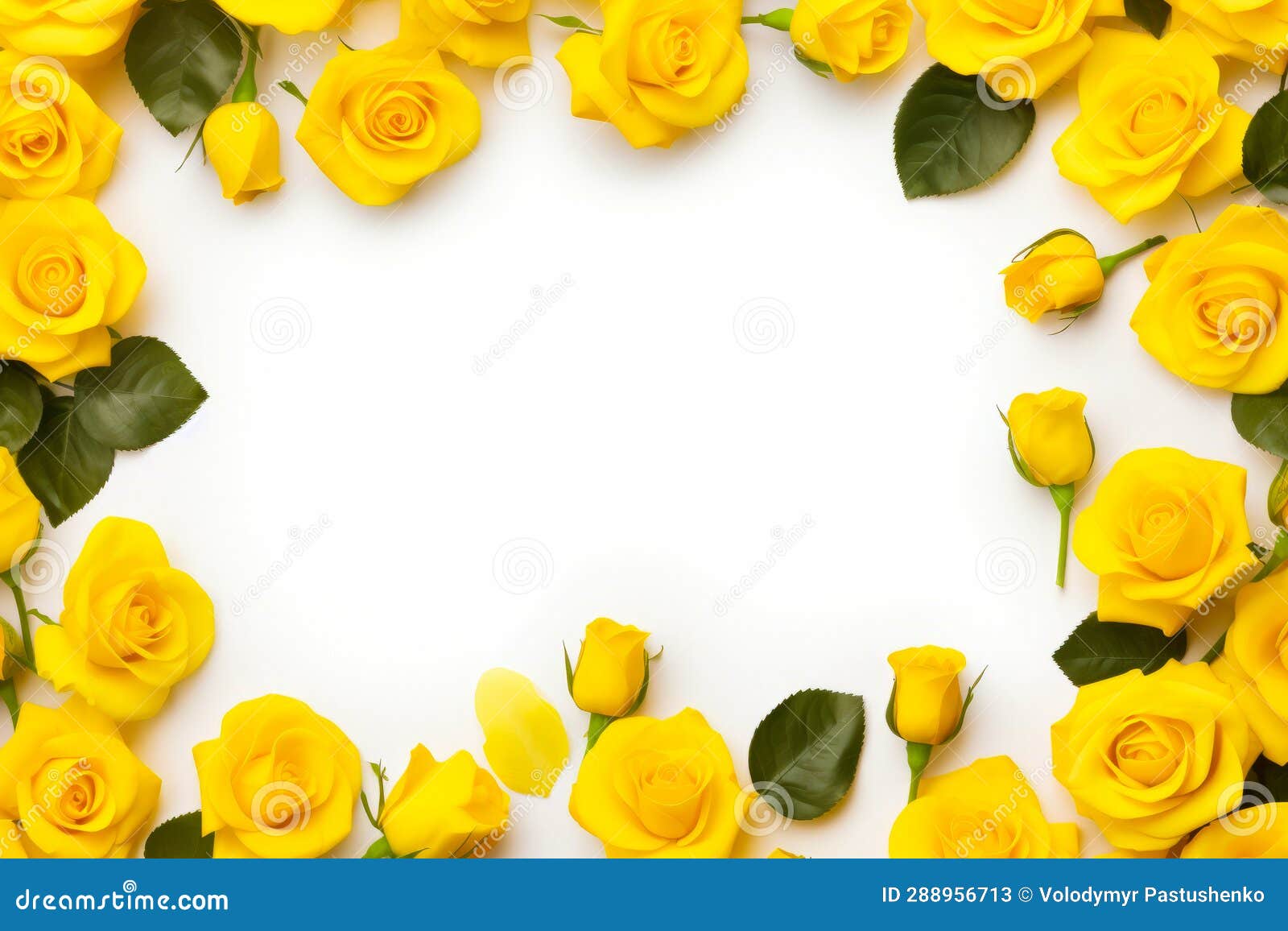 White Background with Yellow Roses and Leaves on it, with Place for ...