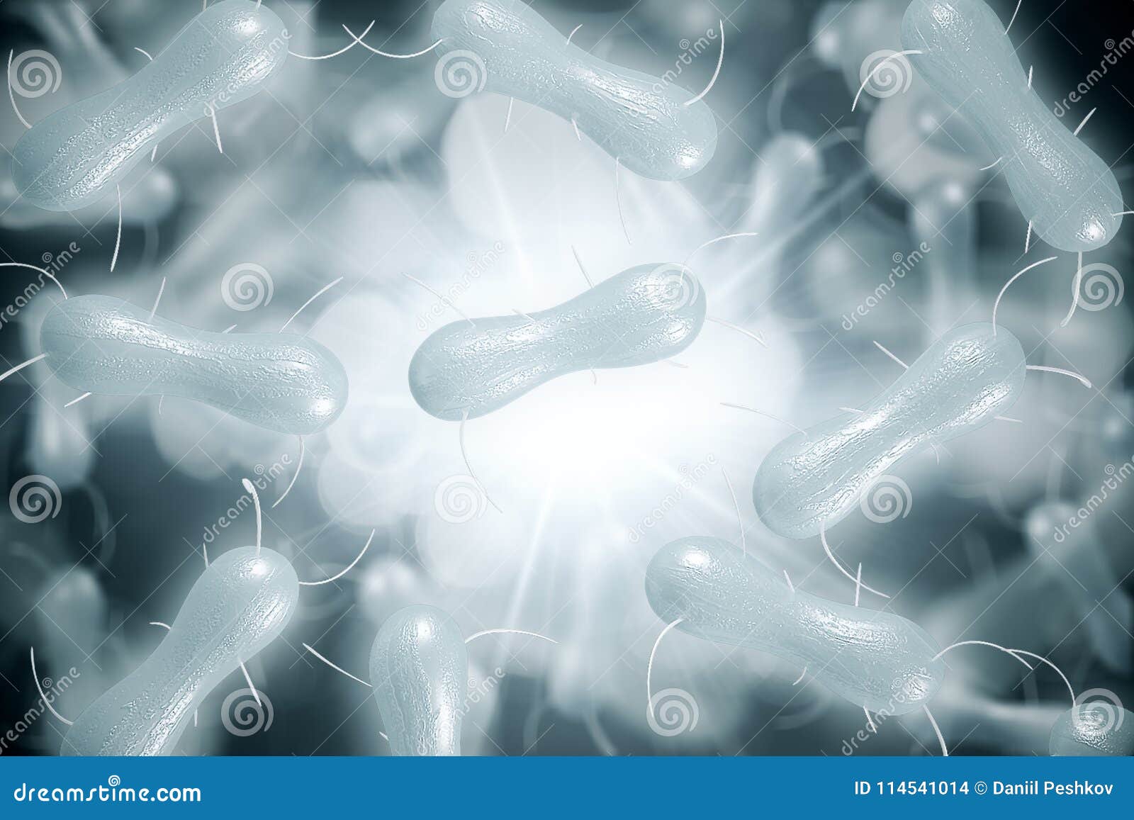 White Bacteria Under The Microscope, Abstract Background Stock ...