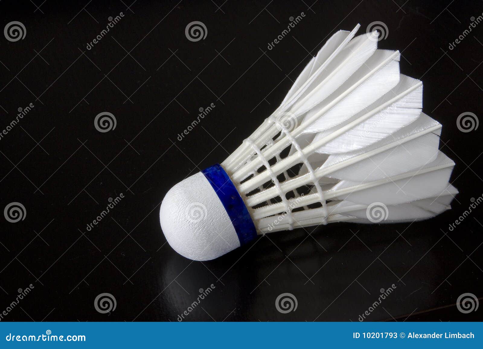 White Badminton Shuttlecock On A Hall Floor At Badminton Courts . Close ...