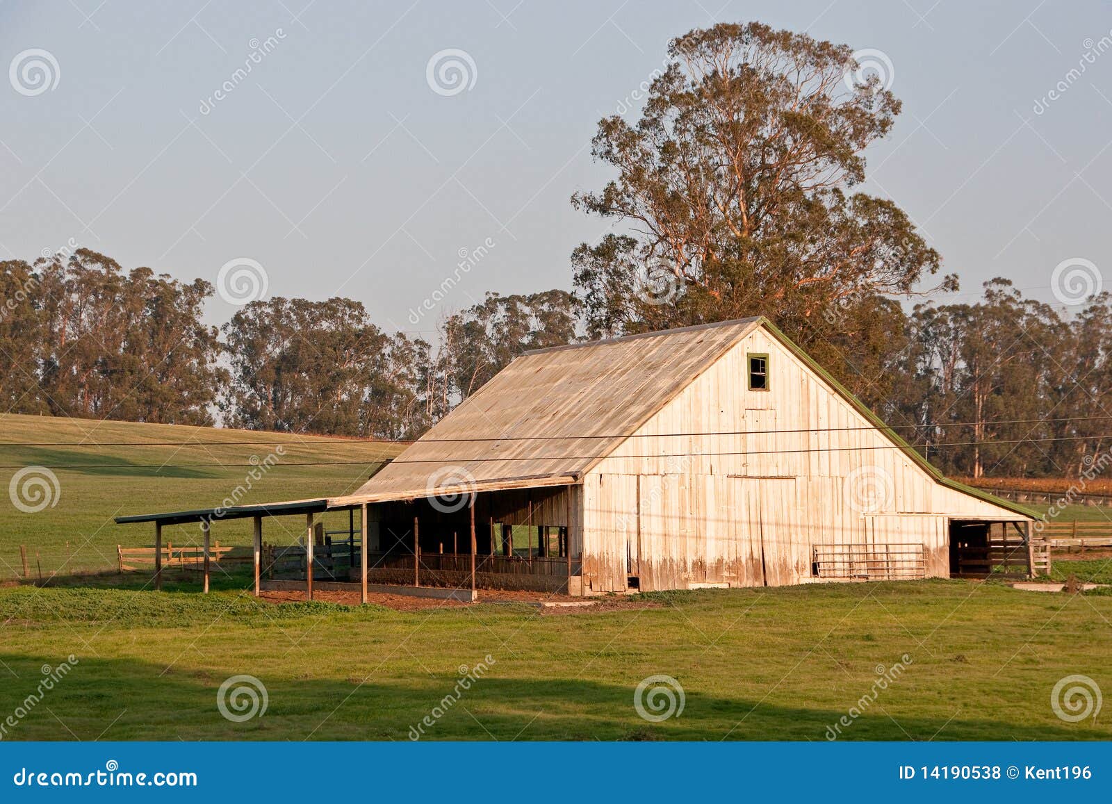 White Barn at Sunset stock photo. Image of tree, pasture - 14190538