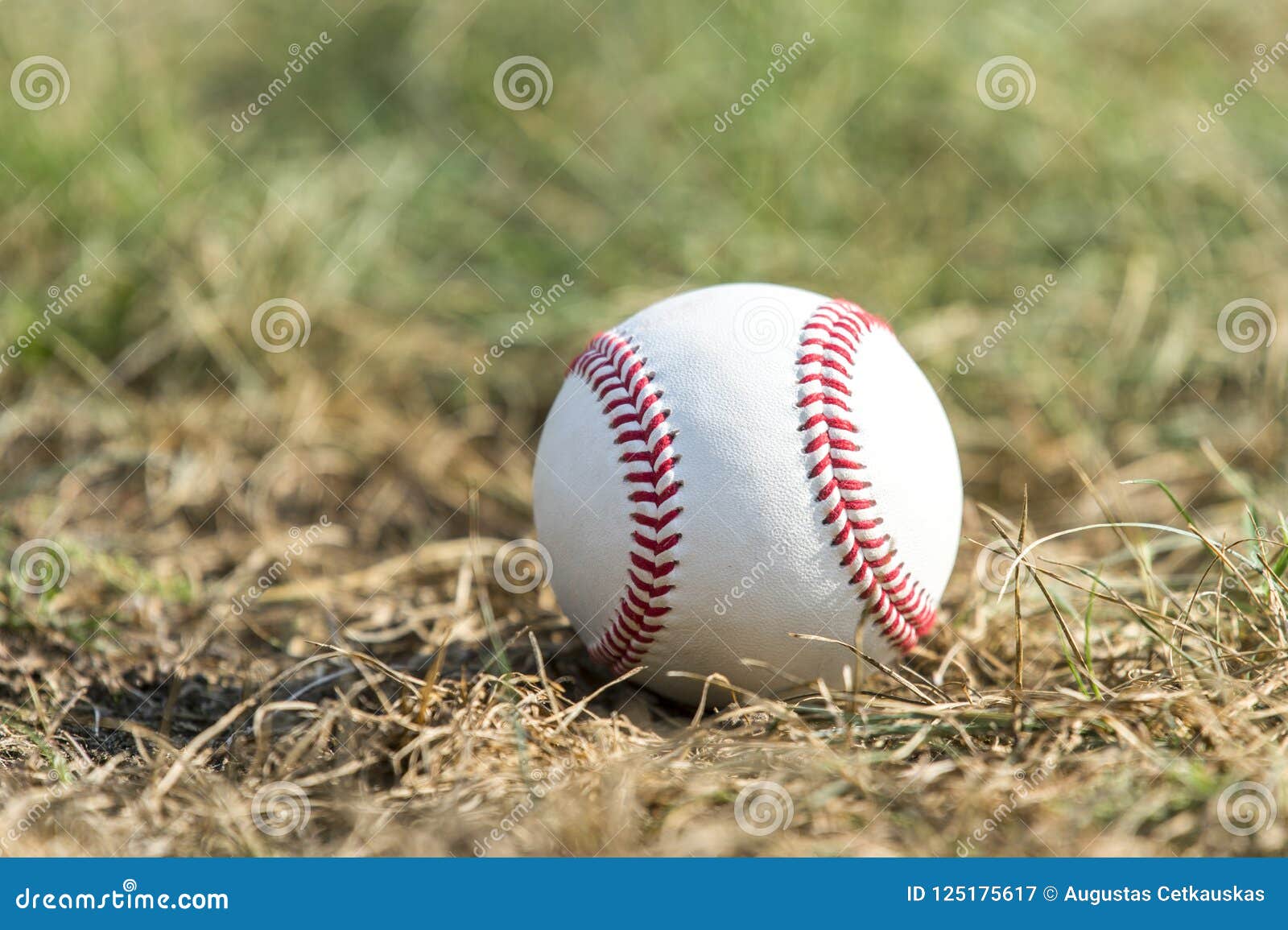 A White Baseball on the Green Grass Stock Image - Image of ground ...