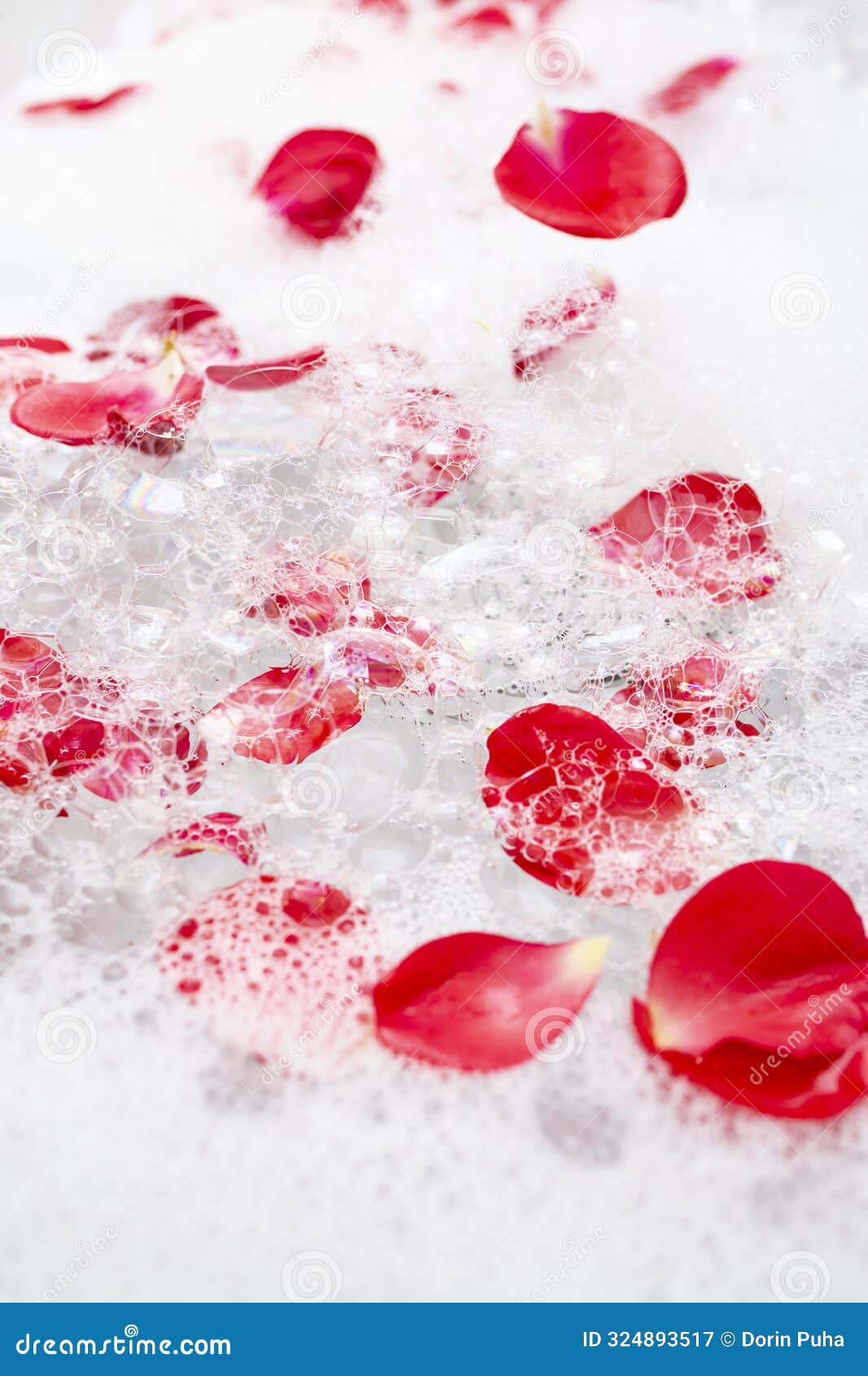 White Bath Foam with Red Roses Petals Floating, Abstract Bubbles ...