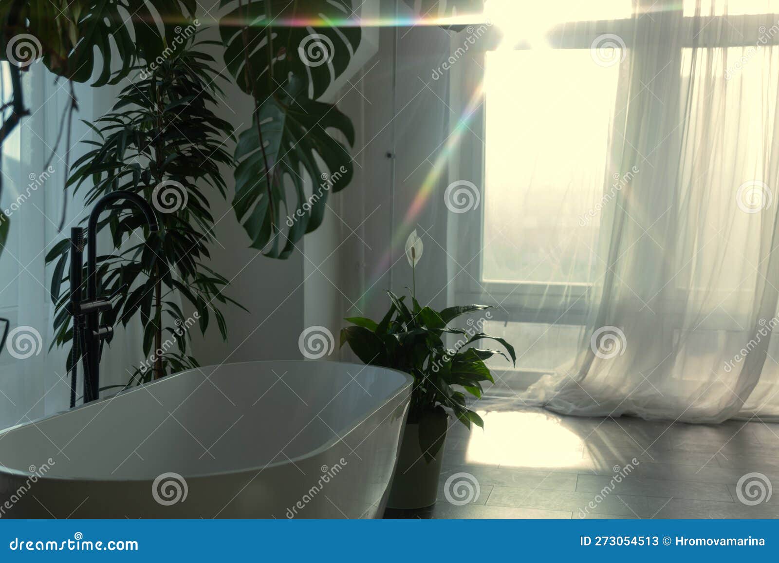 White Bathroom with Flowers and Large Windows. Sunbeam in the Window ...