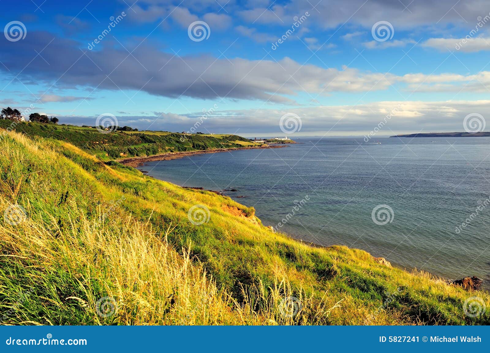 White Bay stock image. Image of cloud, clouds, tree, rural - 5827241