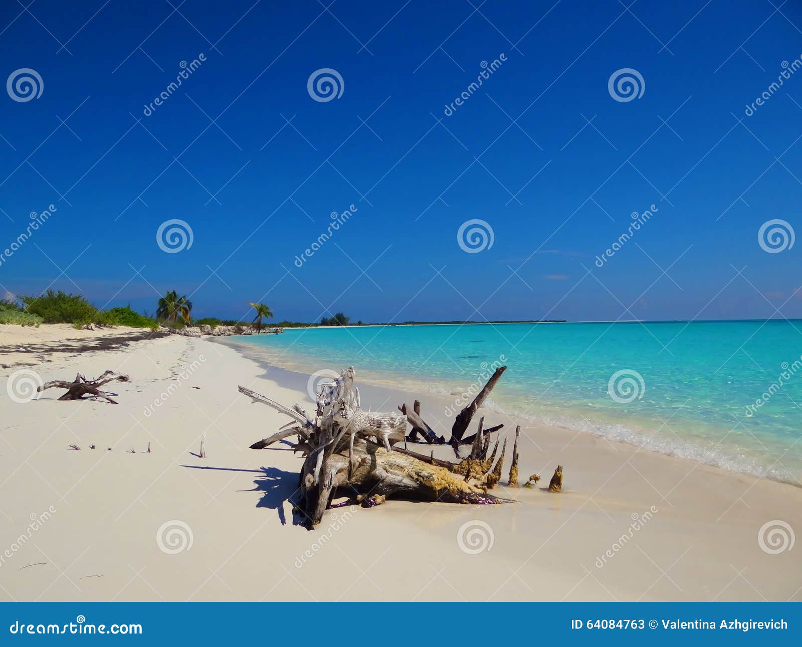 White beach in Cuba stock image. Image of recreation - 64084763