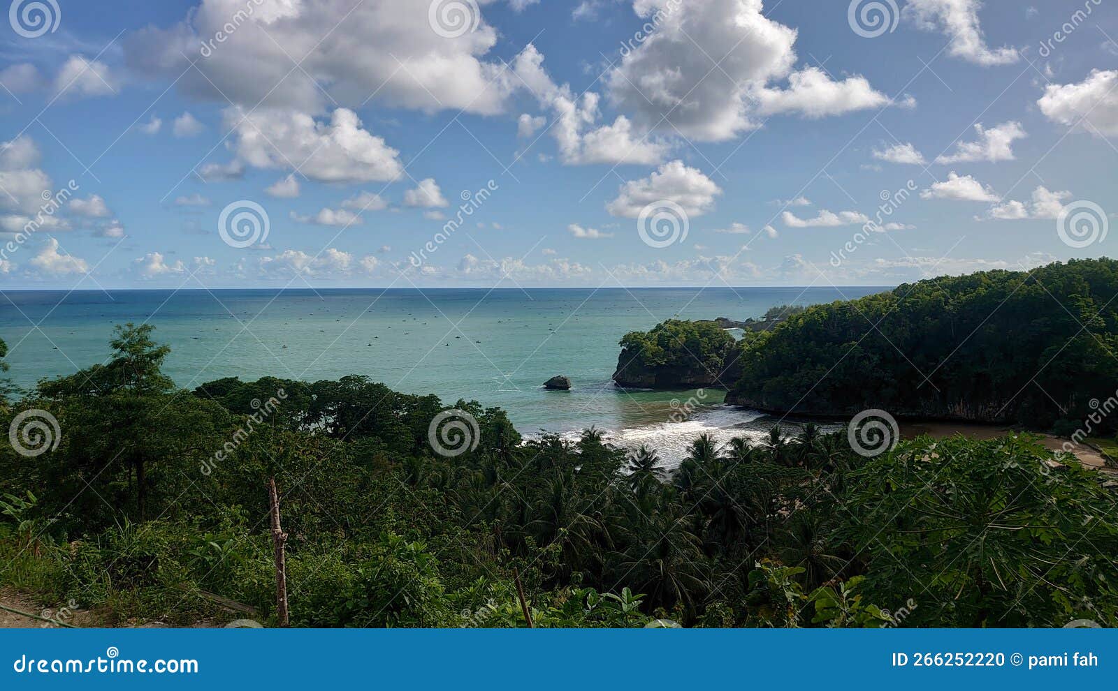 White Beach with Lots of Trees at Noon Stock Photo - Image of trees ...