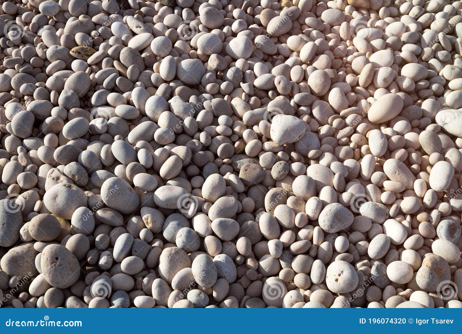 White Beach Pebbles Texture. Stock Photo - Image of smooth, pattern ...