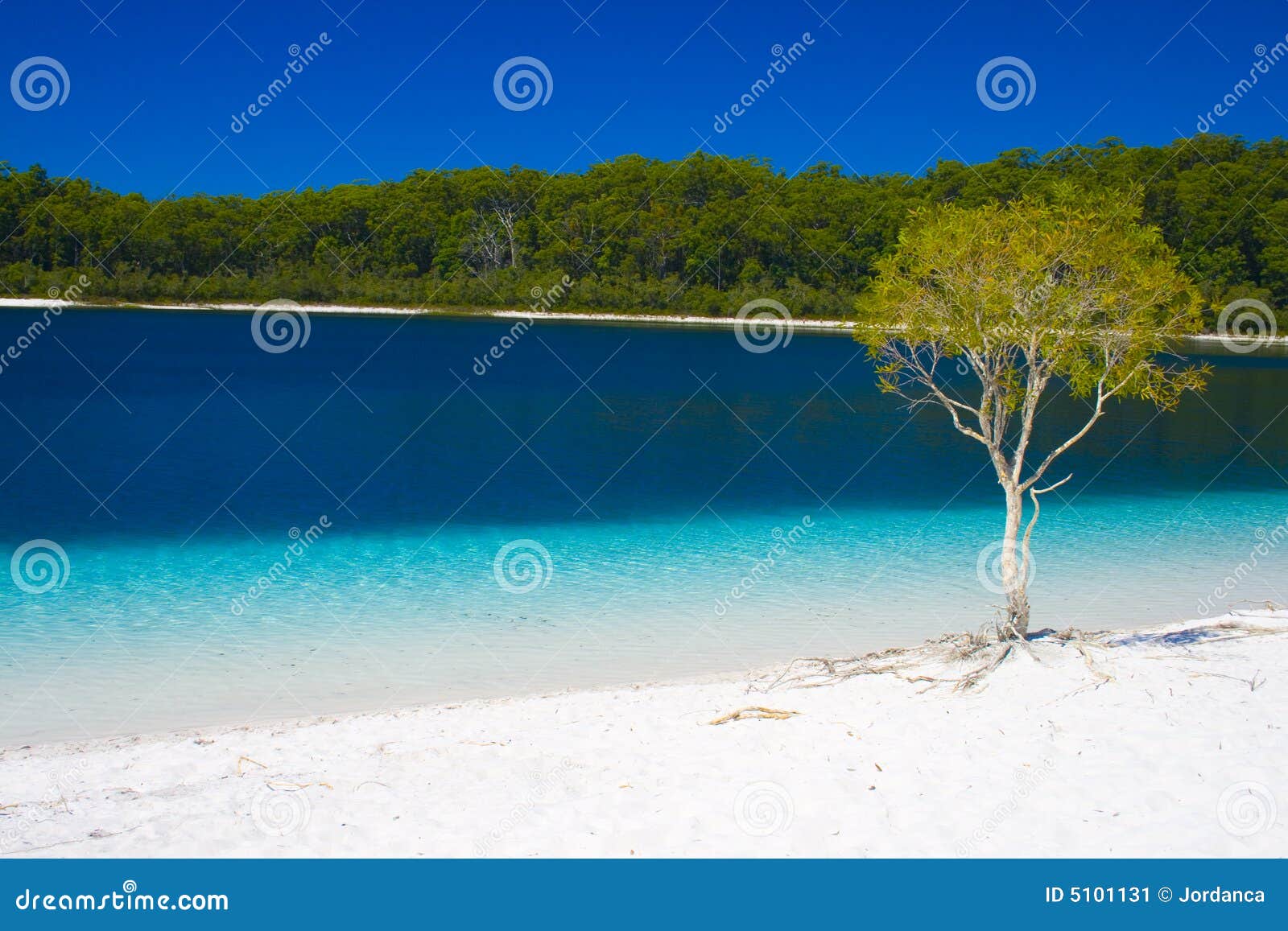 White Beach with Turquoise Water Stock Image - Image of turquoise ...