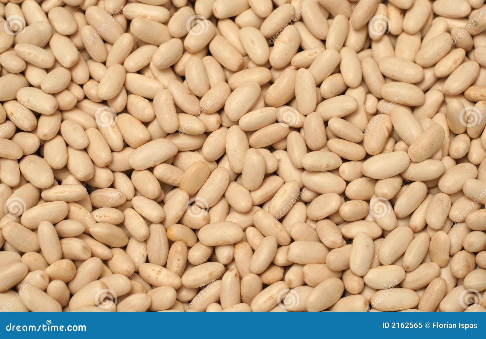 White bean stock image. Image of texture, closeup, cook - 2162565