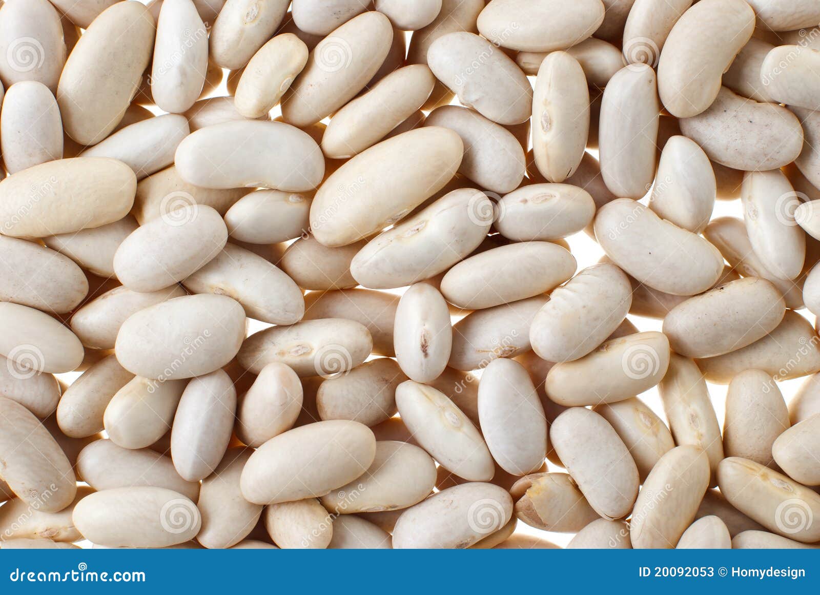 White bean background stock image. Image of bean, agriculture - 20092053